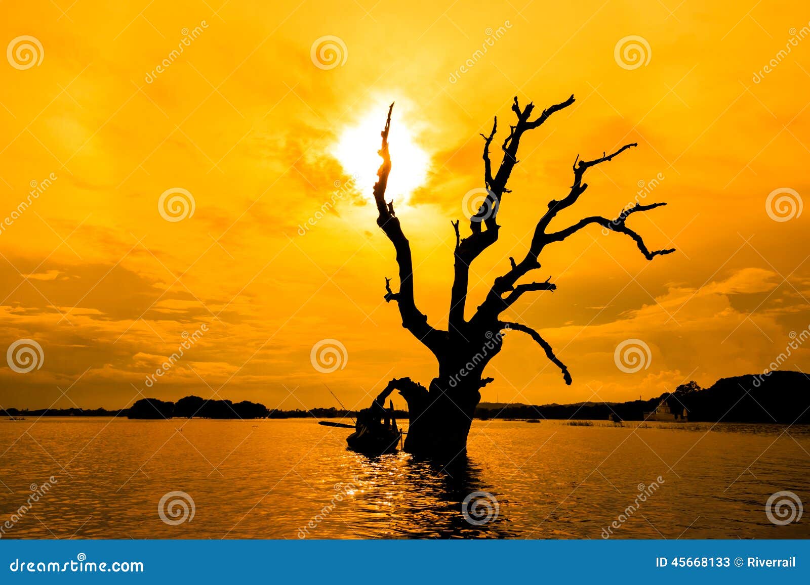 Dead Tree in the Sunset, Myanmar Stock Image - Image of evening ...