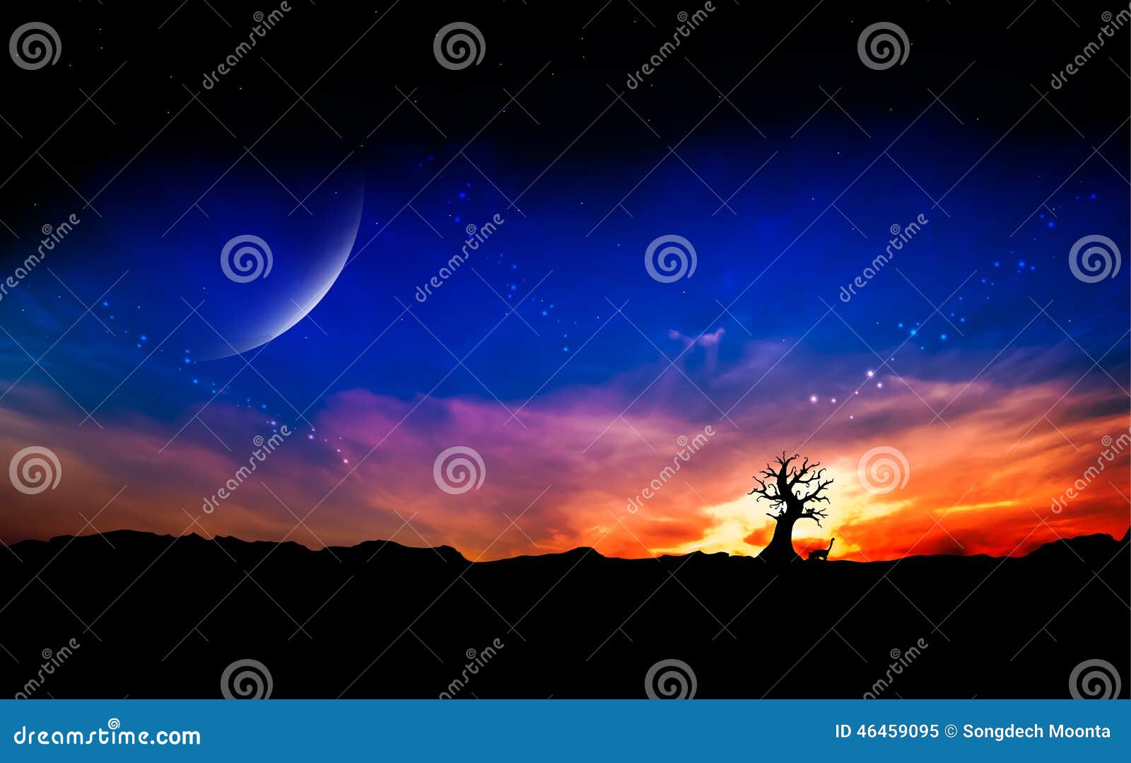 Dead Tree at Sunset stock image. Image of collected, moon - 46459095
