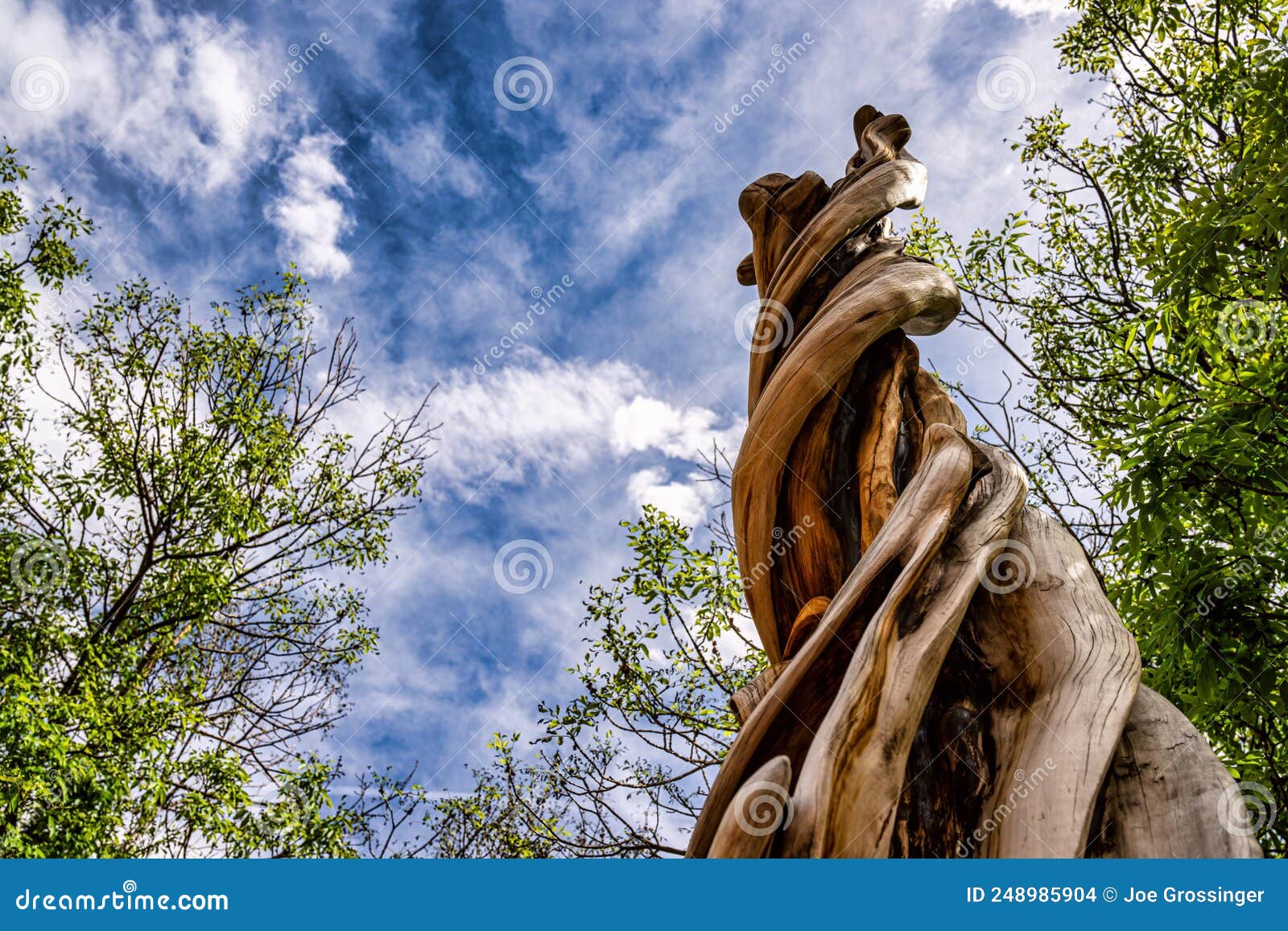Dead Tree Trunk Pointing To the Clouds Editorial Stock Image - Image of ...