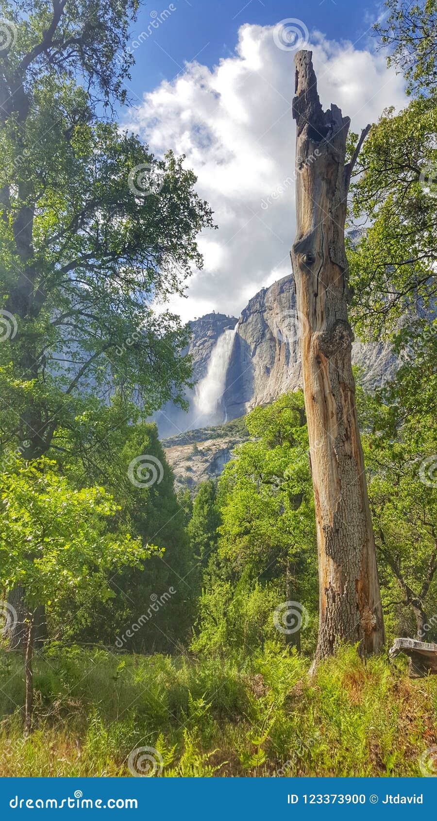 The Dead Waterfall Stock Photography | CartoonDealer.com #66948680