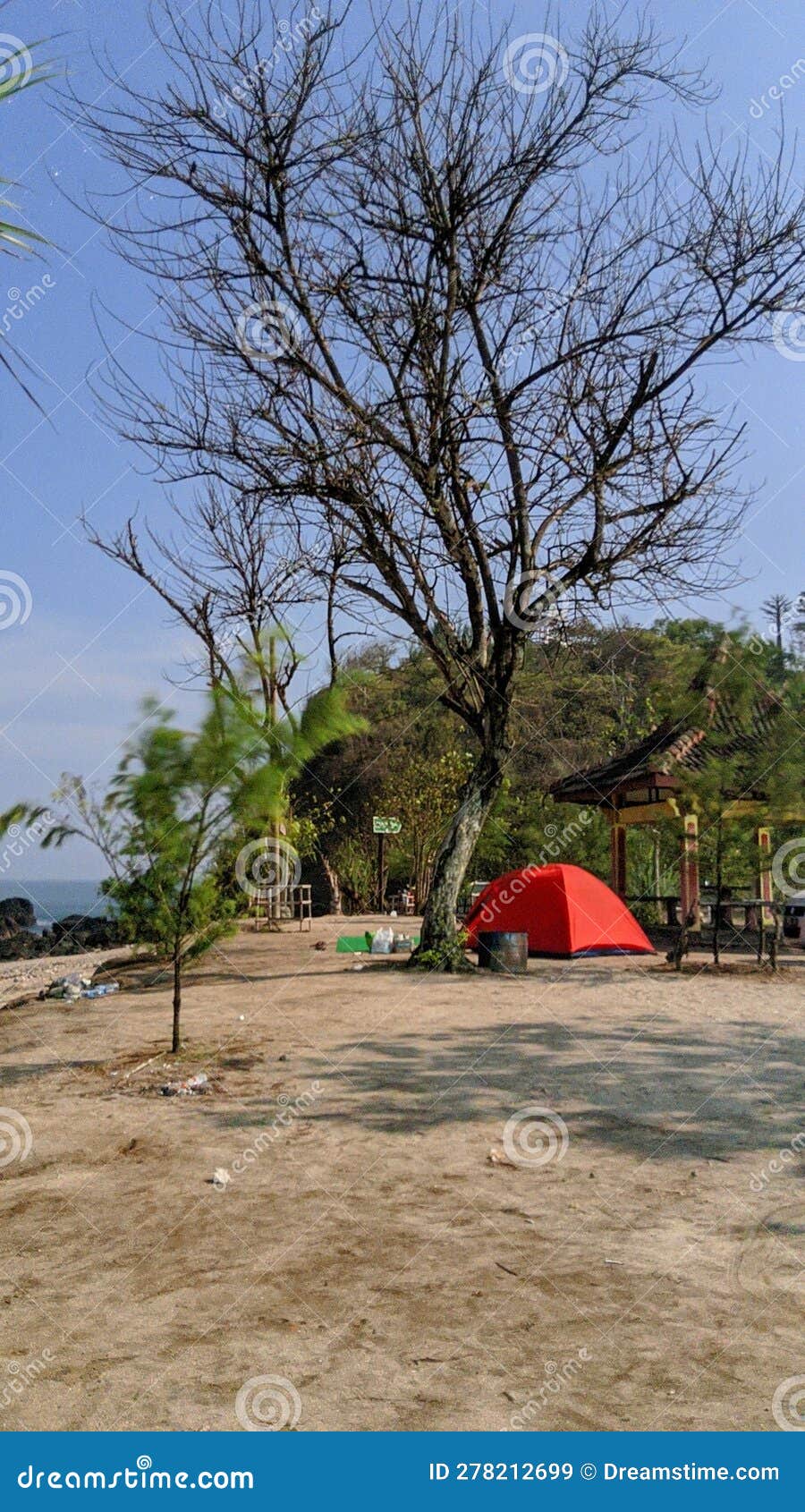 Dead Tree on the White Beach Stock Image - Image of aesthetic, morning ...