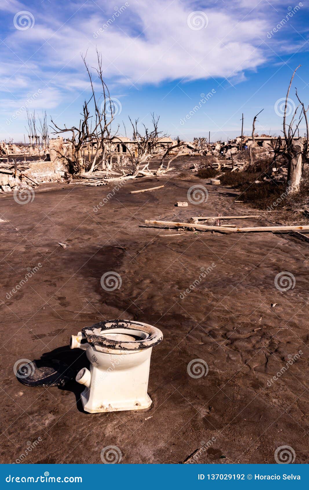 Dead Trees in the City of Epecuen. Desolate Landscape without People ...
