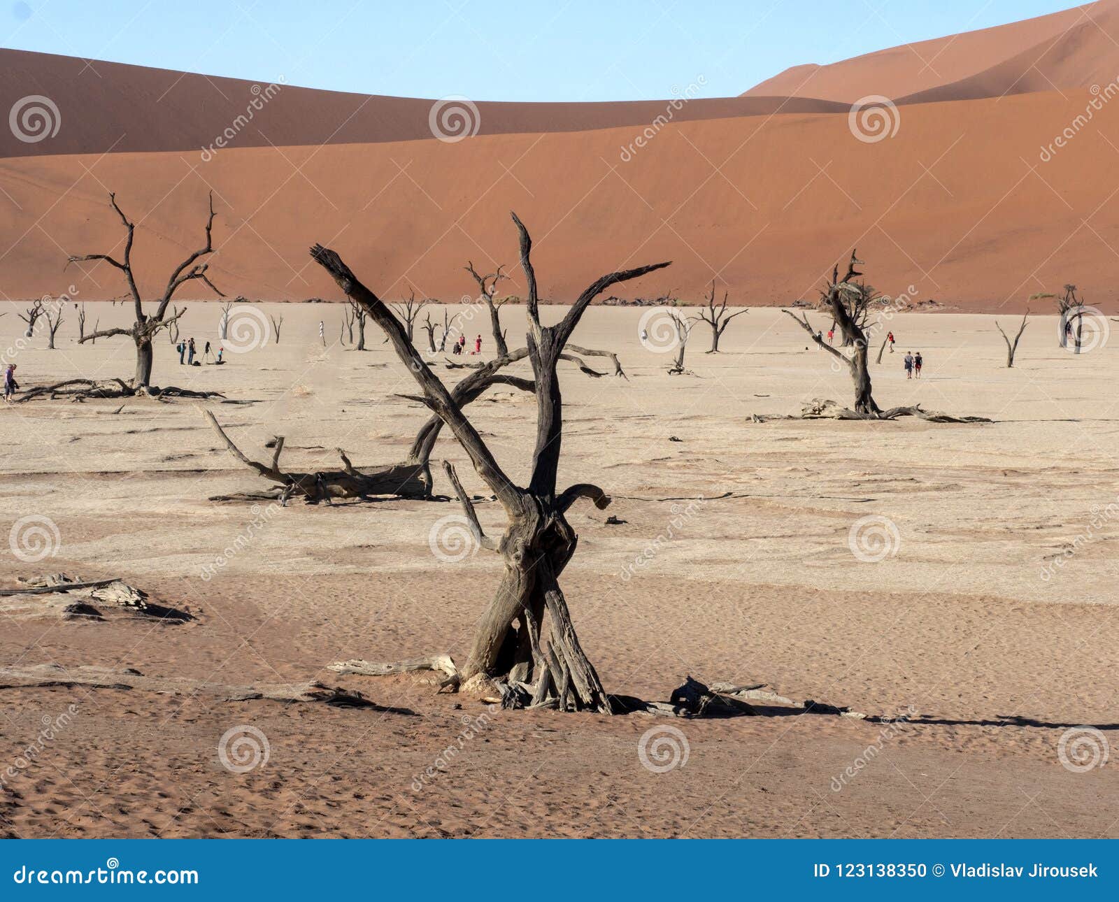 Dead Trees, in Deadvlei, Namibia Stock Photo - Image of deadvlei ...