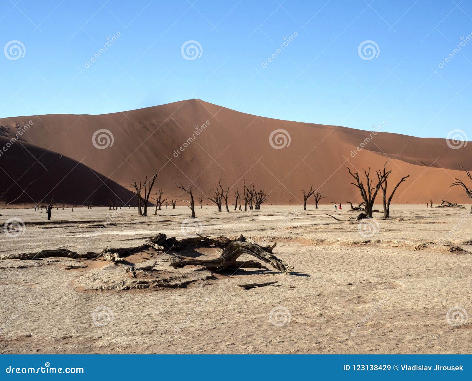 Dead Trees, in Deadvlei, Namibia Stock Image - Image of nature, scenery ...