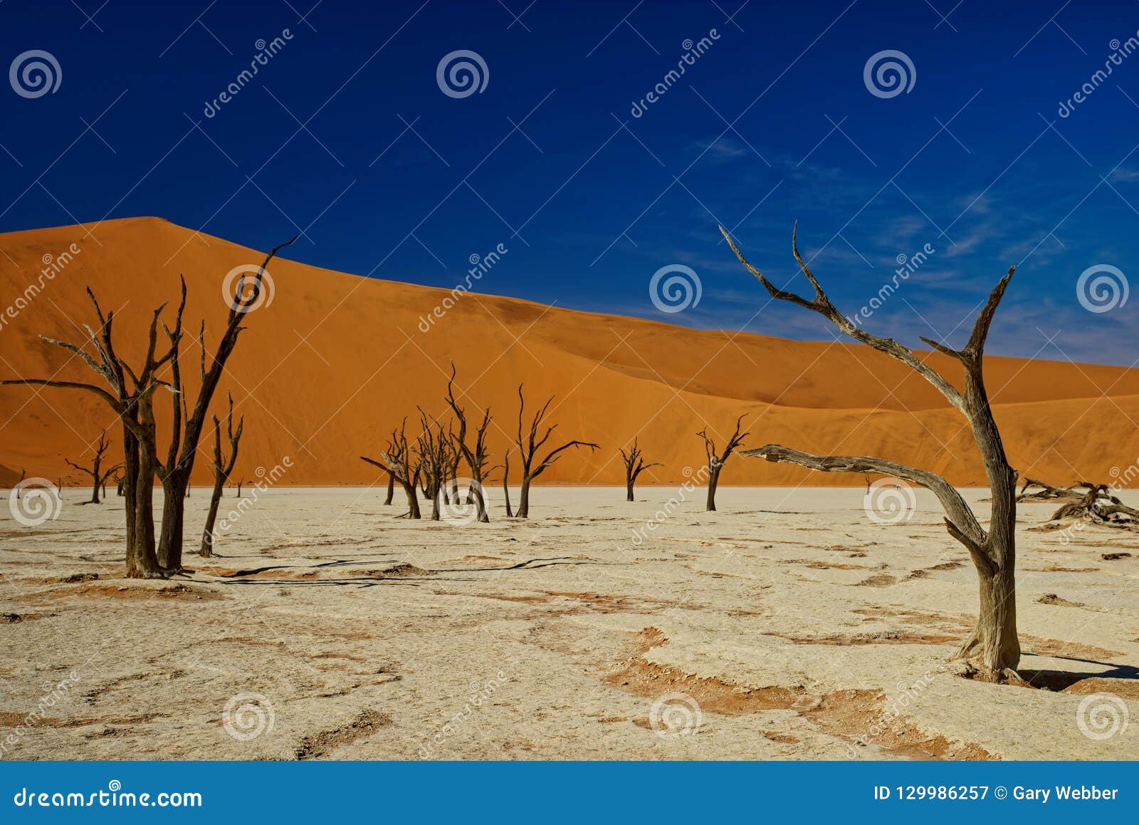 Dead Trees, Deadvlei, Namibia Stock Image - Image of sand, ancient ...
