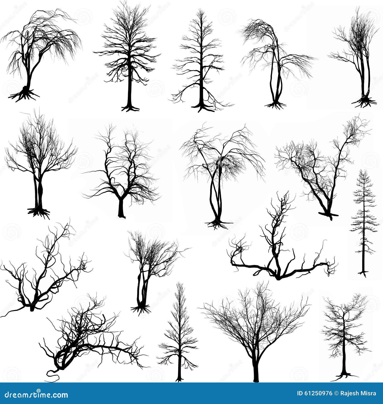 Dead trees silhouette stock illustration. Illustration of forest - 61250976