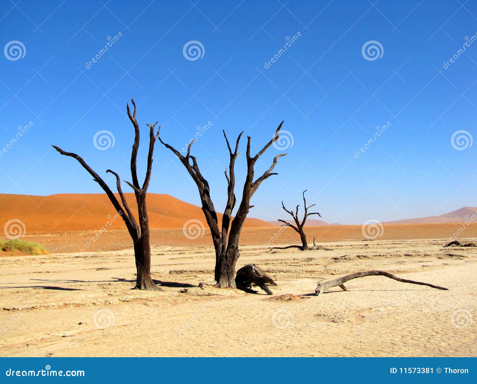 Dead Valley stock image. Image of sossusvlei, black, sand - 11573381
