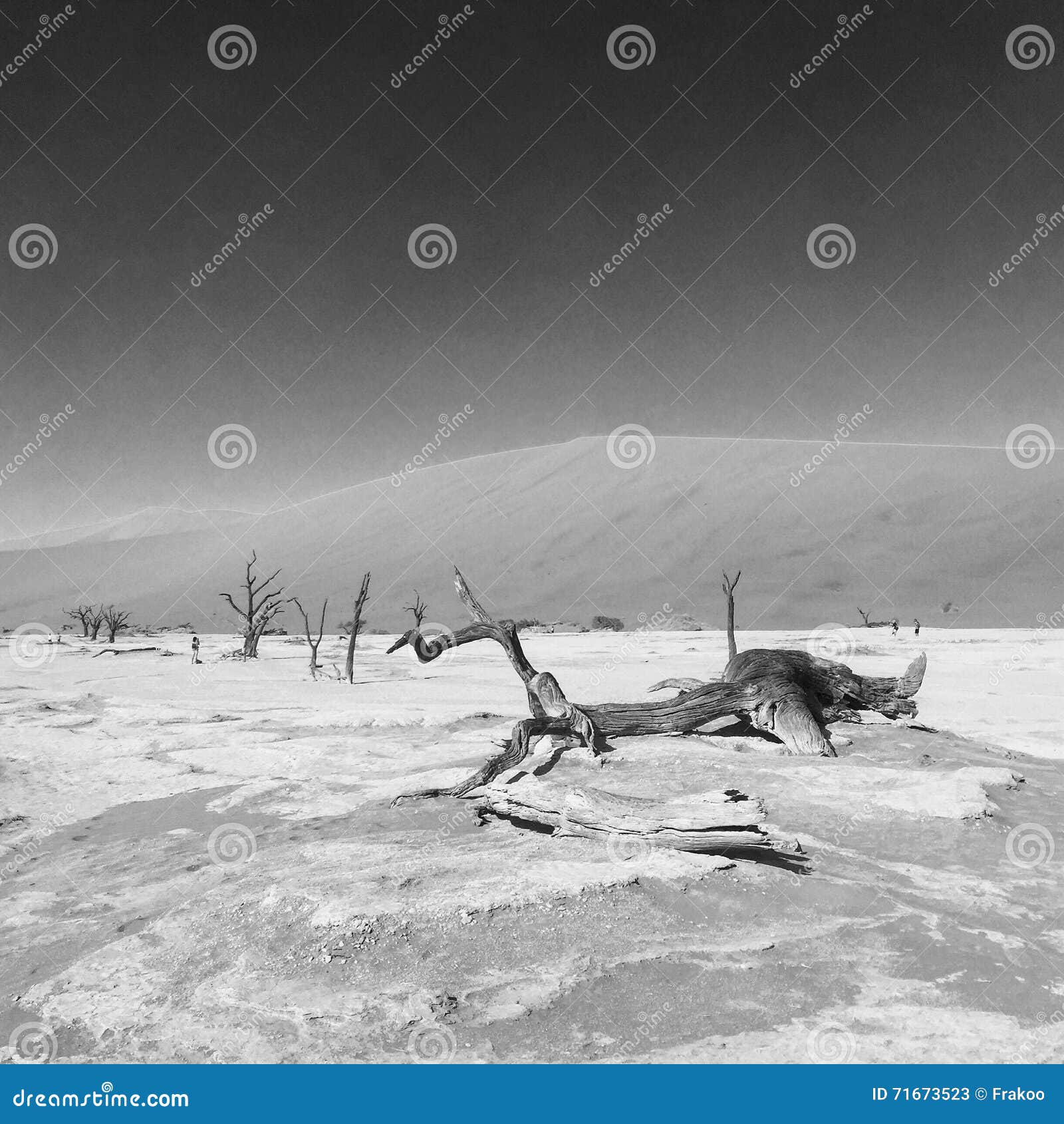 Dead valley stock image. Image of dead, deadvlei, namibia - 71673523