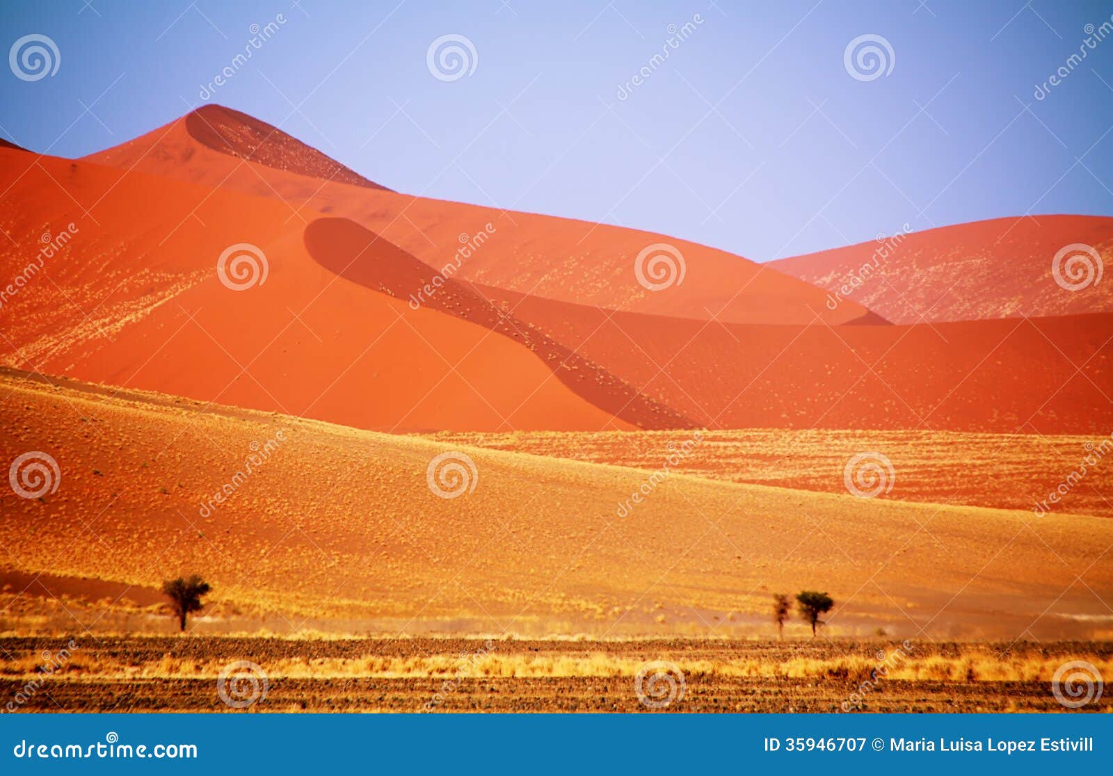 Dead valley in Namibia stock image. Image of dune, death - 35946707