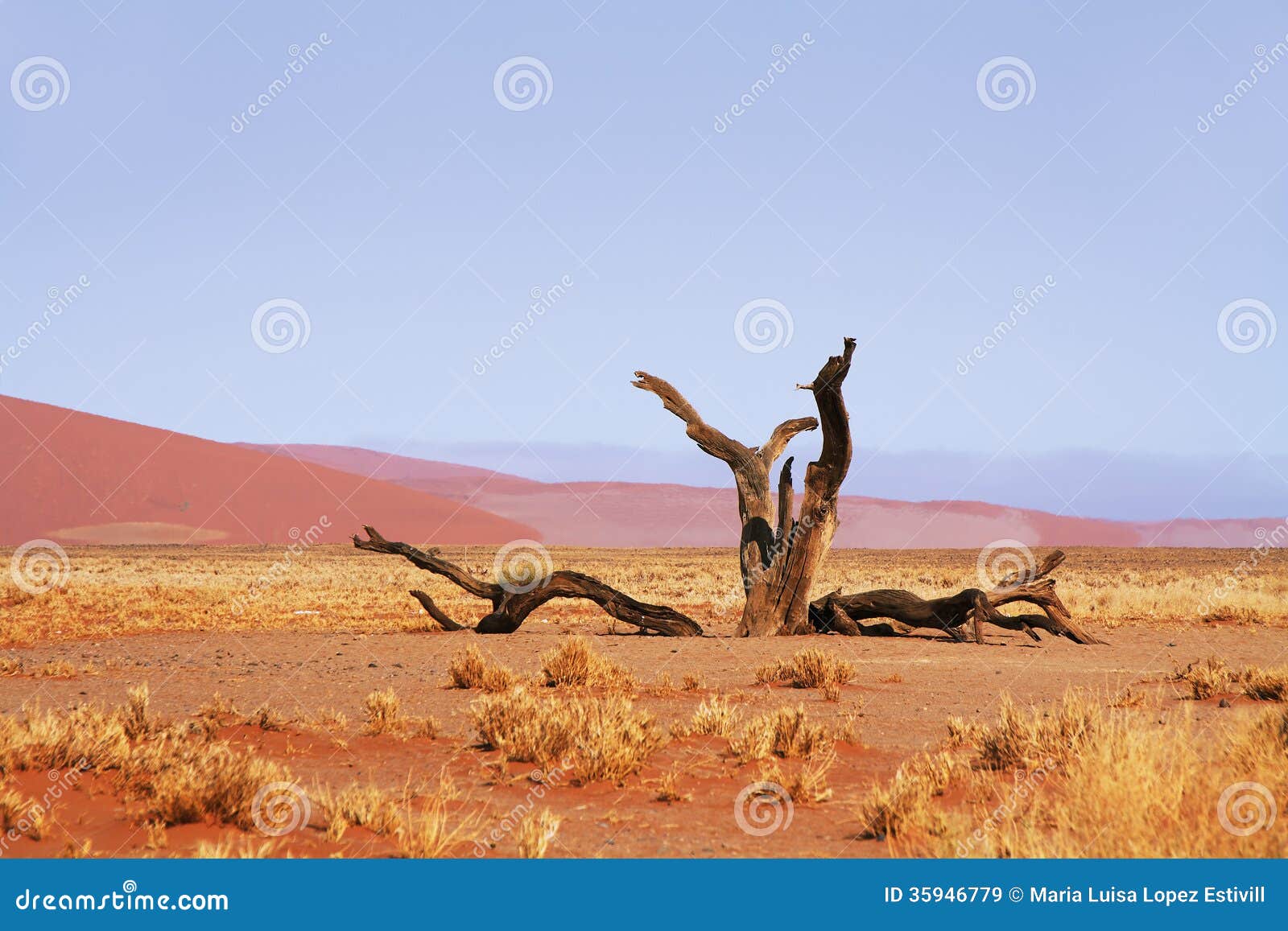 Dead valley in Namibia stock image. Image of climate - 35946779