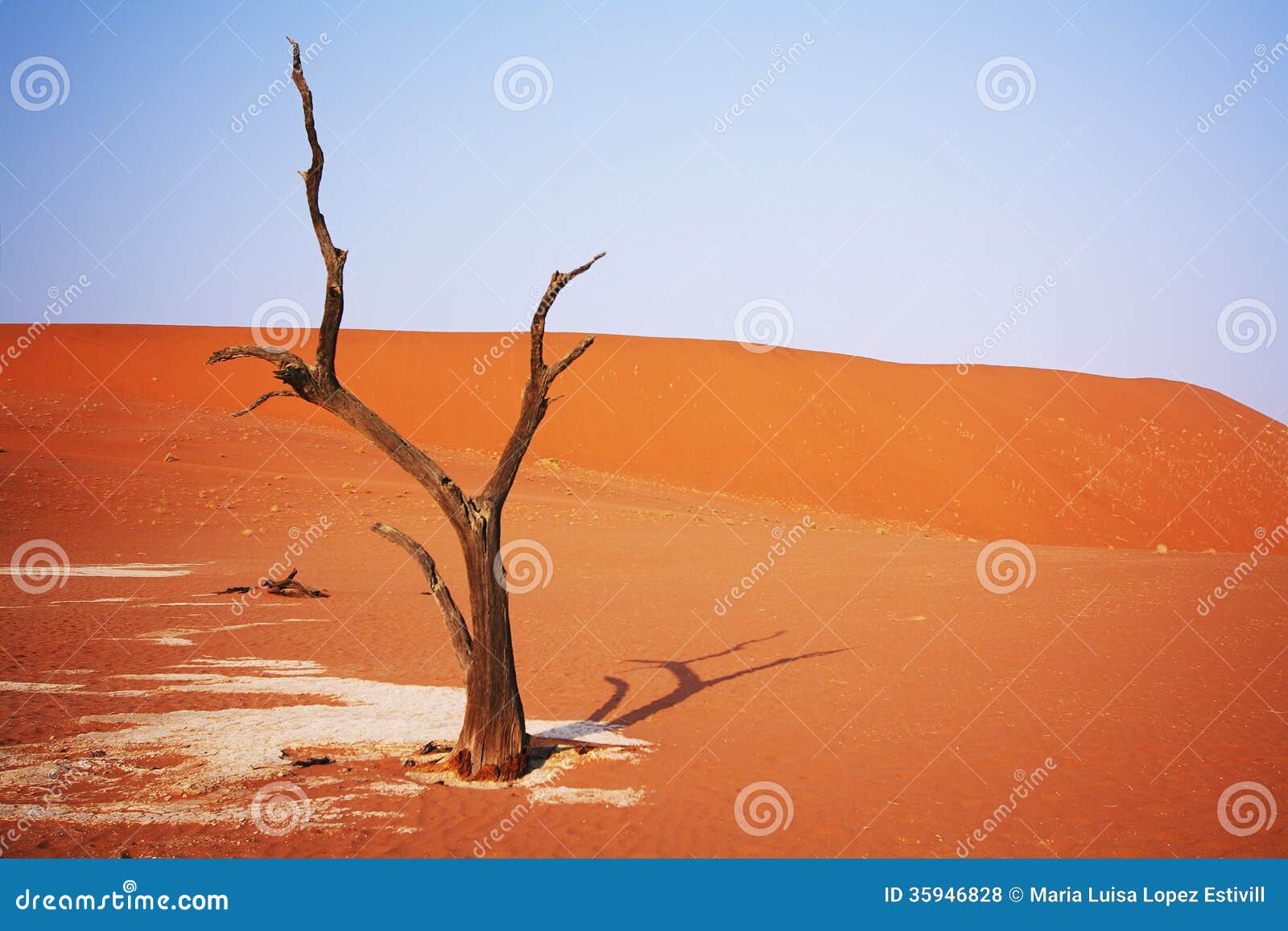 Dead valley in Namibia stock photo. Image of landscape - 35946828