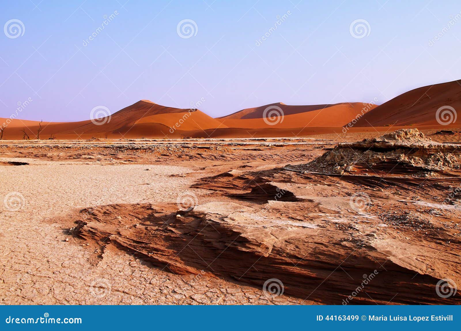 Dead valley in Namibia stock image. Image of death, climate - 44163499