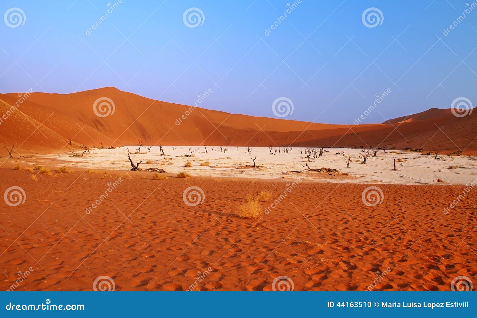 Dead valley in Namibia stock photo. Image of dawn, orange - 44163510