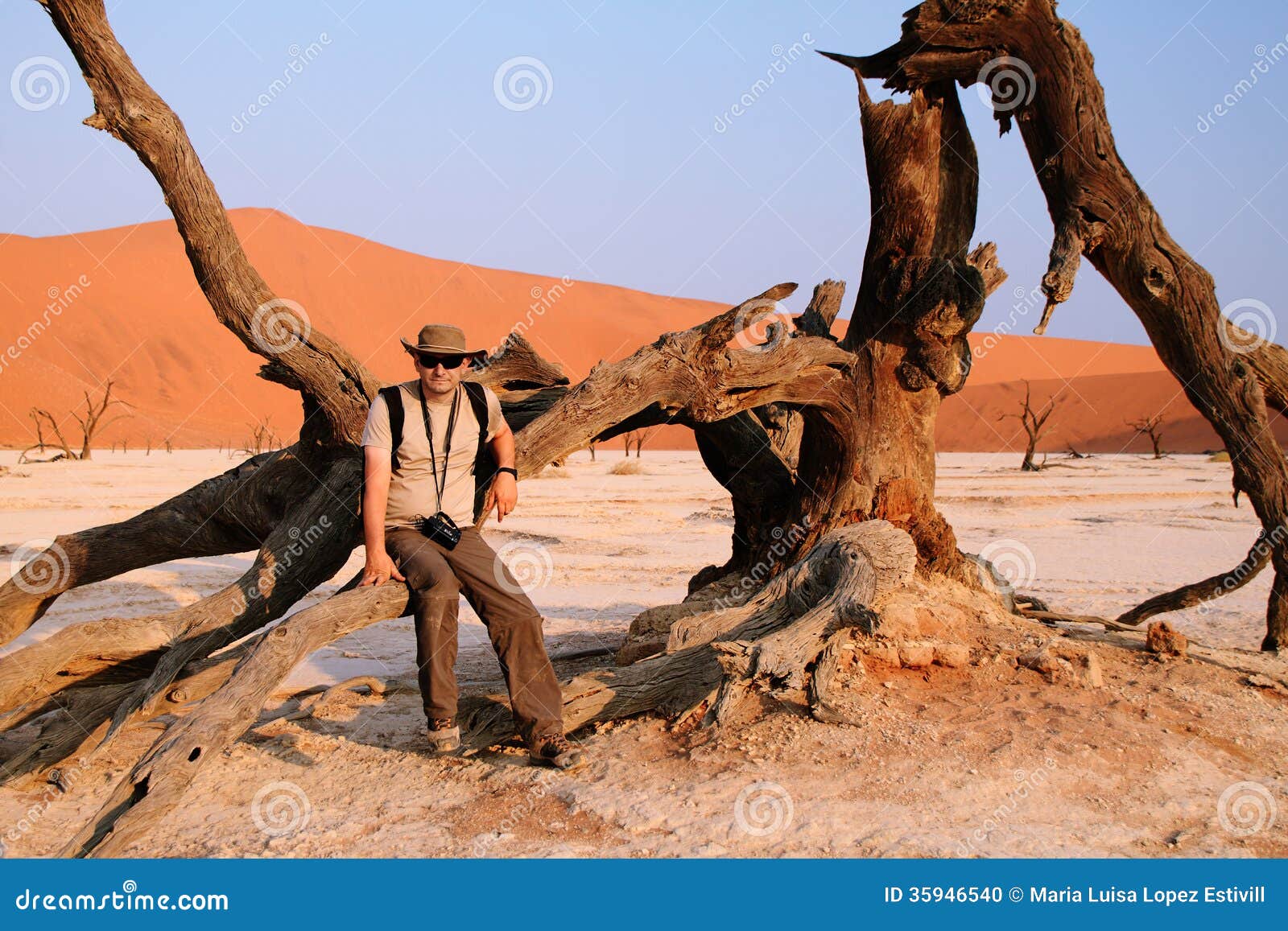 Dead valley in Namibia stock photo. Image of desert, light - 35946540
