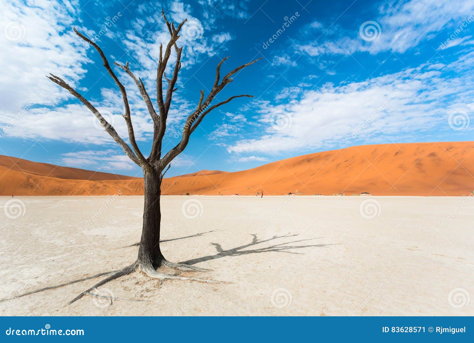Dead Valley stock image. Image of national, natural, death - 83628571