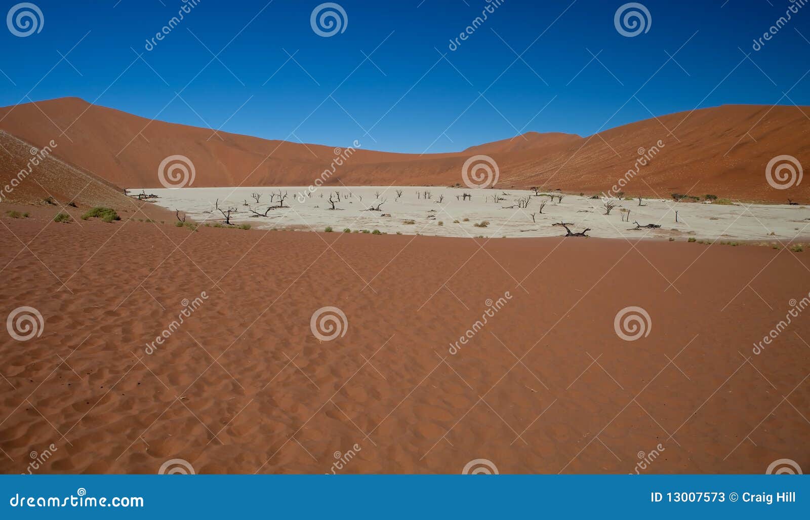 Dead Vlei stock image. Image of landscape, sossusvlei - 13007573