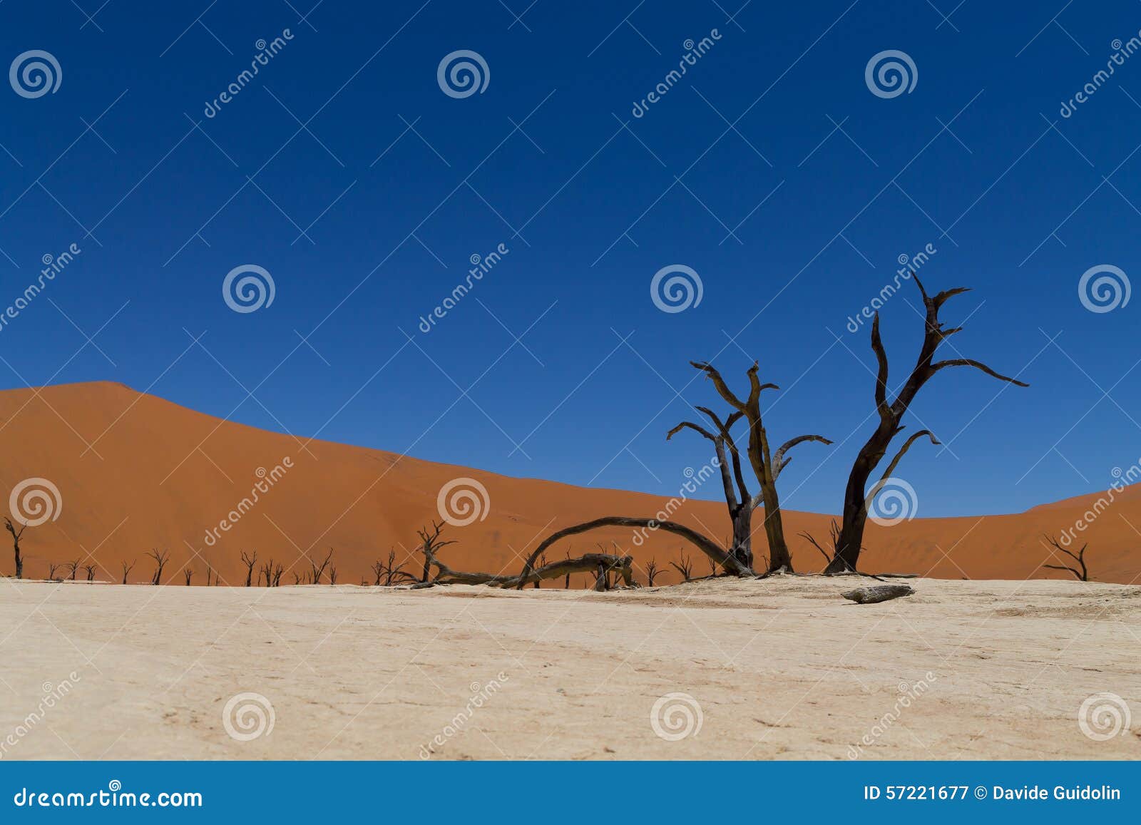 Dead Vlei stock image. Image of africa, namibian, landscape - 57221677