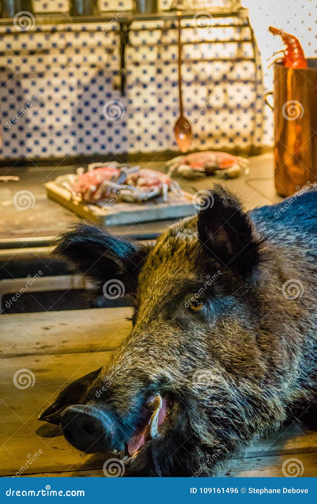 Dead Wild Boar Ready To Be Cooked Stock Photo - Image of beer, kitchen ...
