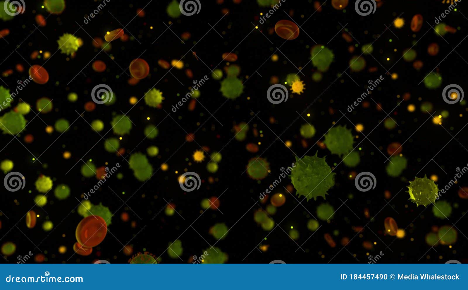 A Deadly Coronavirus Bacterium Under a Microscope. Animation. Pathogen ...