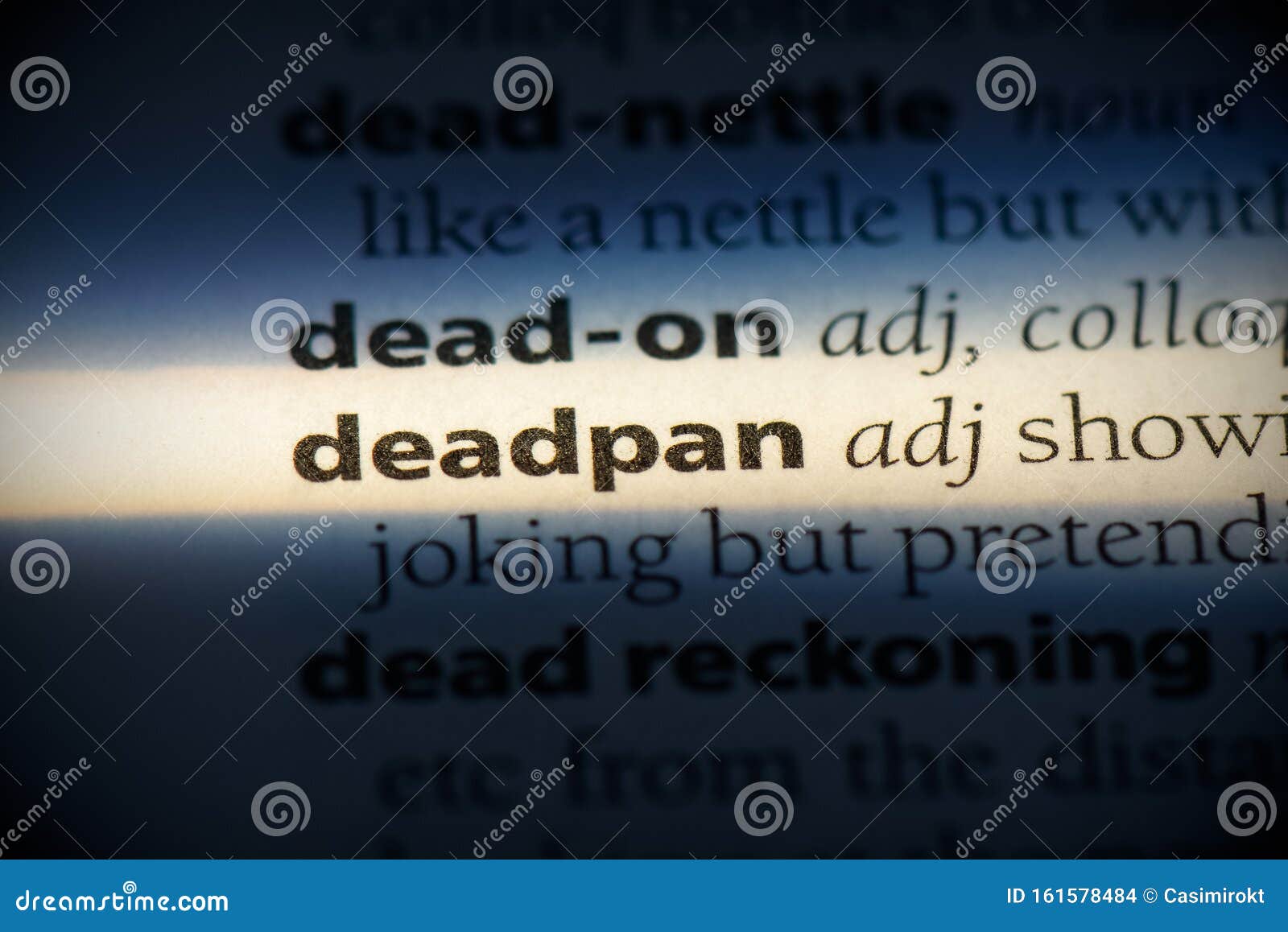 Deadpan stock photo. Image of book, thesaurus, paper - 161578484