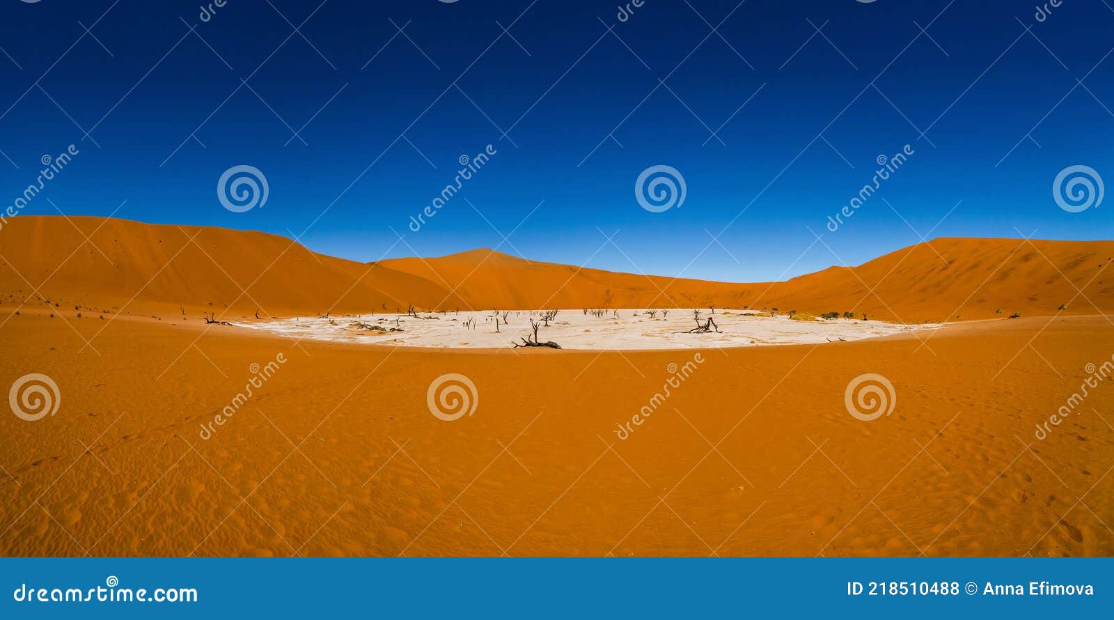 Deadvlei and Big Daddy Dune in Sossusvlei, Namibia Stock Photo - Image ...
