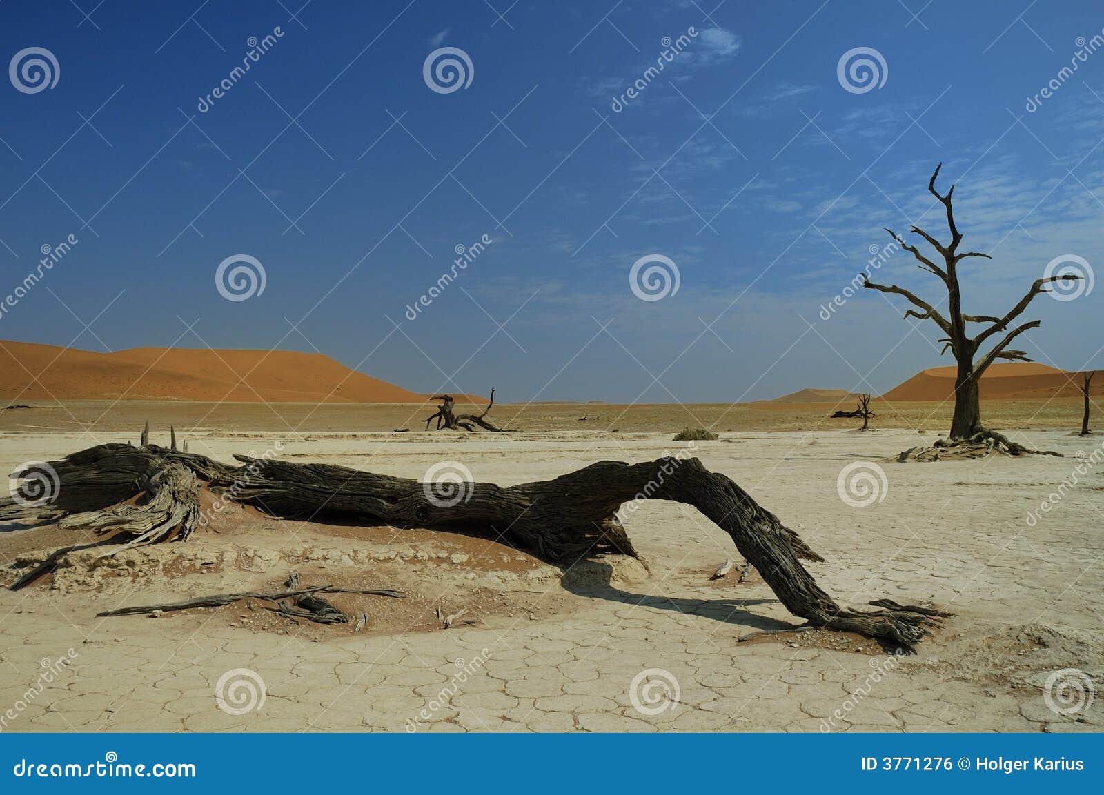 Deadvlei (Namib desert) stock photo. Image of desiccated - 3771276