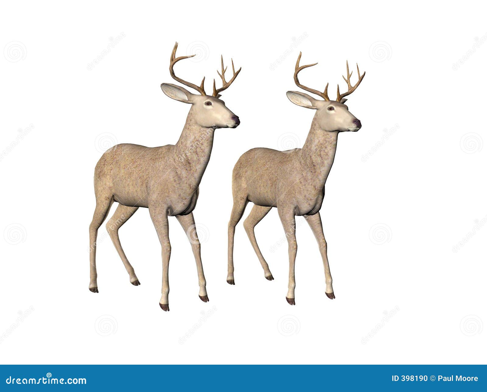 Dear Pair Two stock illustration. Illustration of trees - 398190