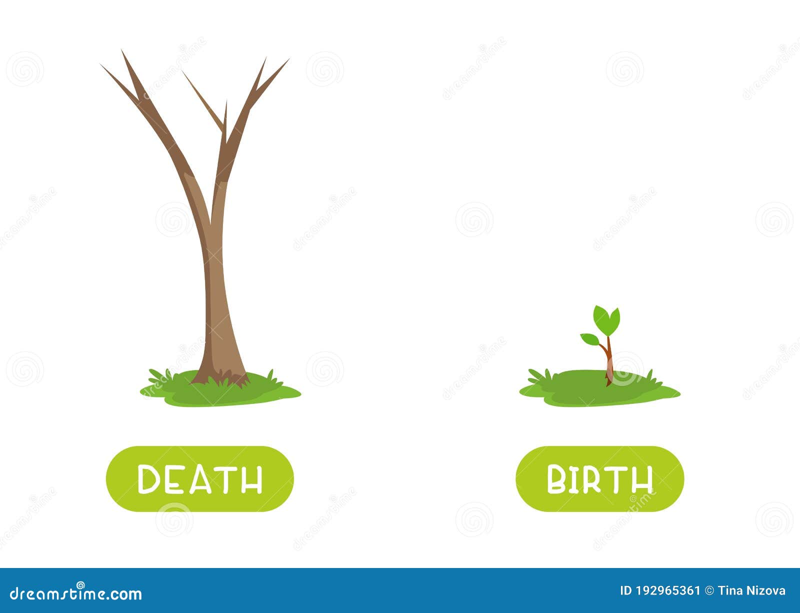 Death and Birth Antonyms Word Card Vector Template Stock Vector ... Death and Birth Antonyms Word Card Vector Template Stock Vector ...