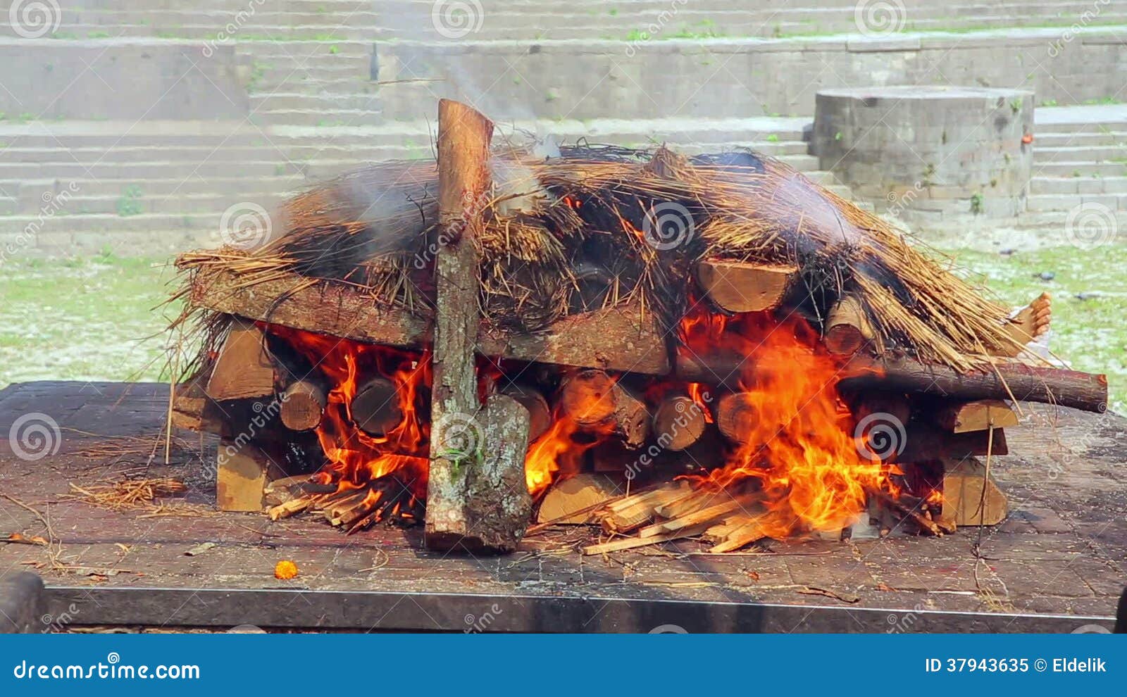 Death Corpse Stock Footage & Videos - 815 Stock Videos