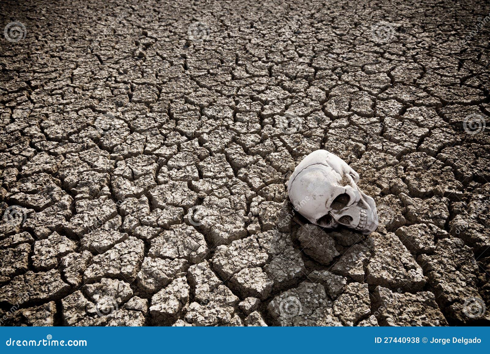 Death at the desert stock photo. Image of global, heat - 27440938