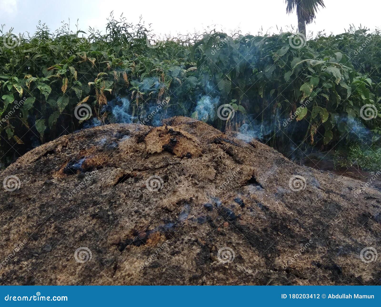 The death fire stock photo. Image of death, blur, blue - 180203412