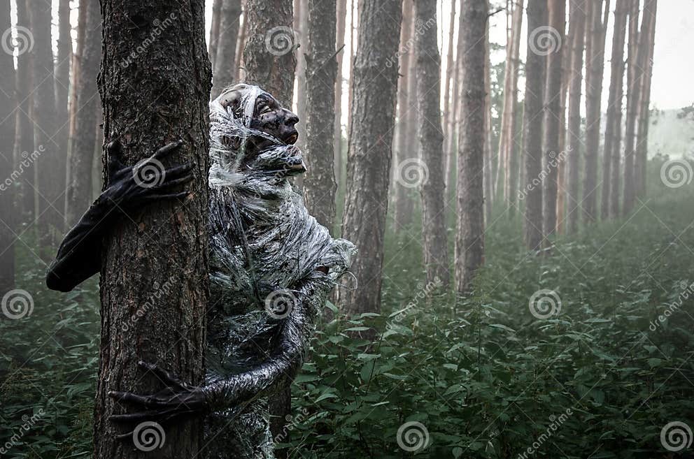 Death in the forest stock photo. Image of horizontal - 42872376