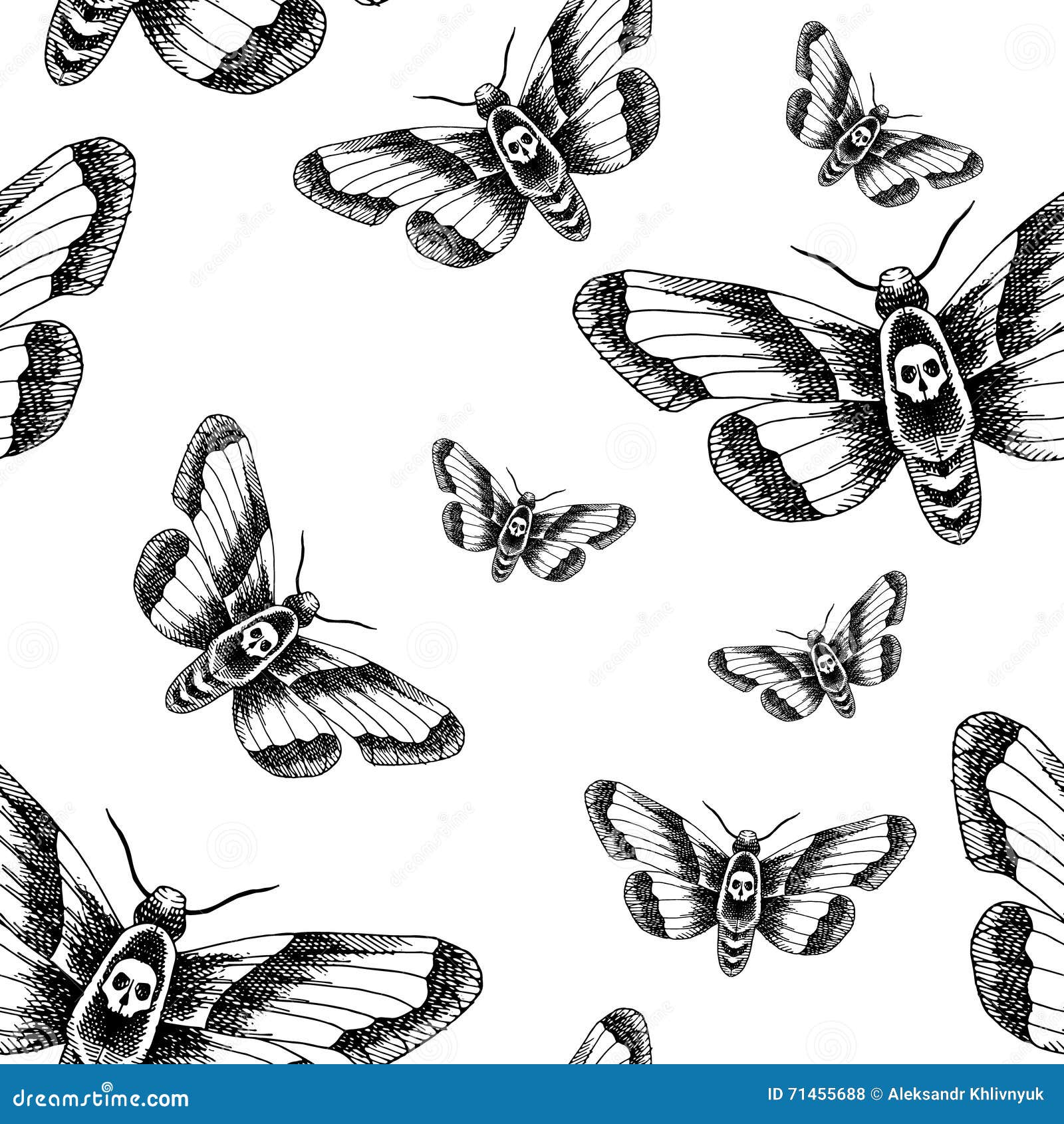 Death Head Hawkmoth On The Full Moon And Night Sky Background. Skull ...