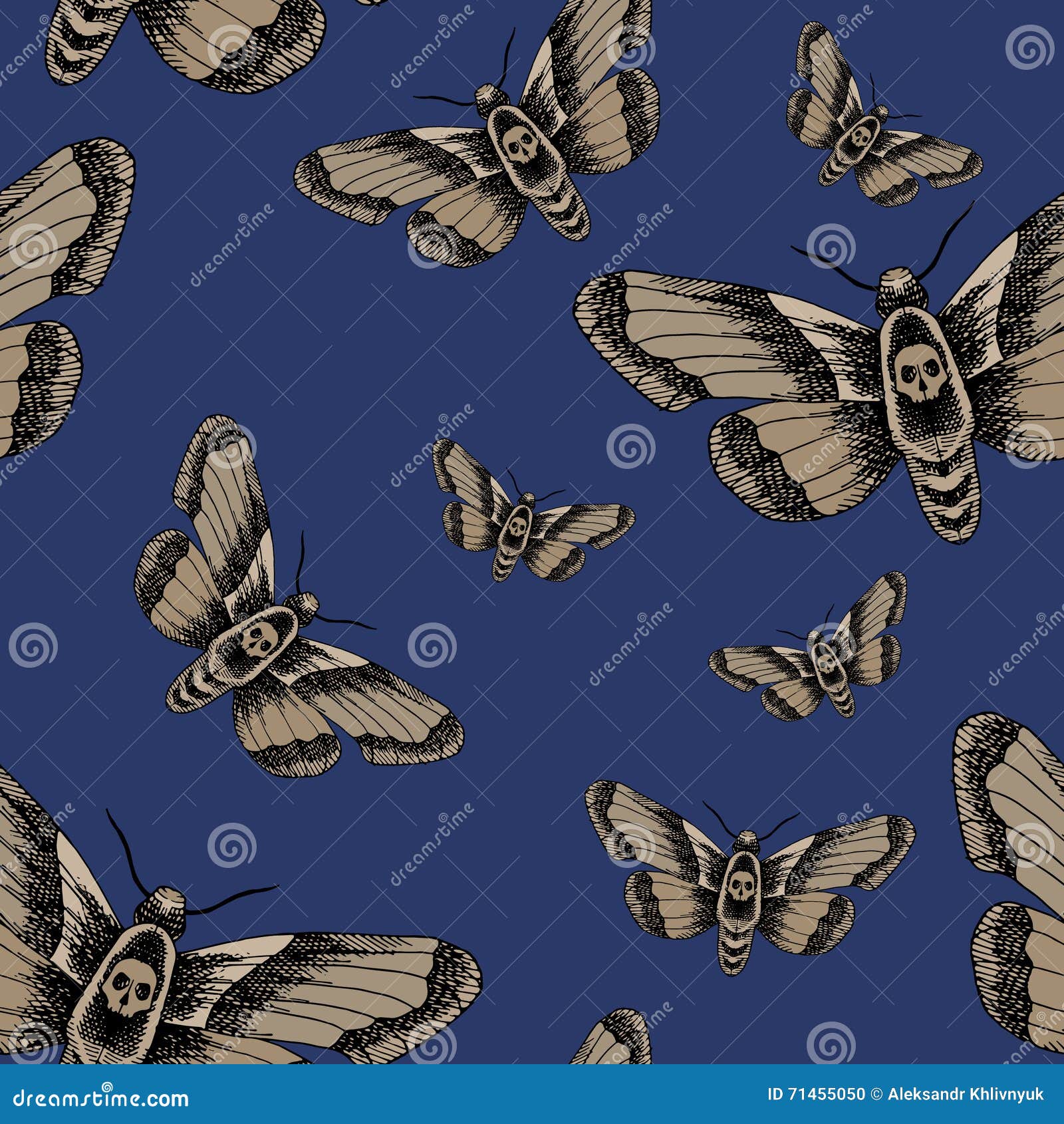 Death head moth stock illustration. Illustration of doodle - 71455050