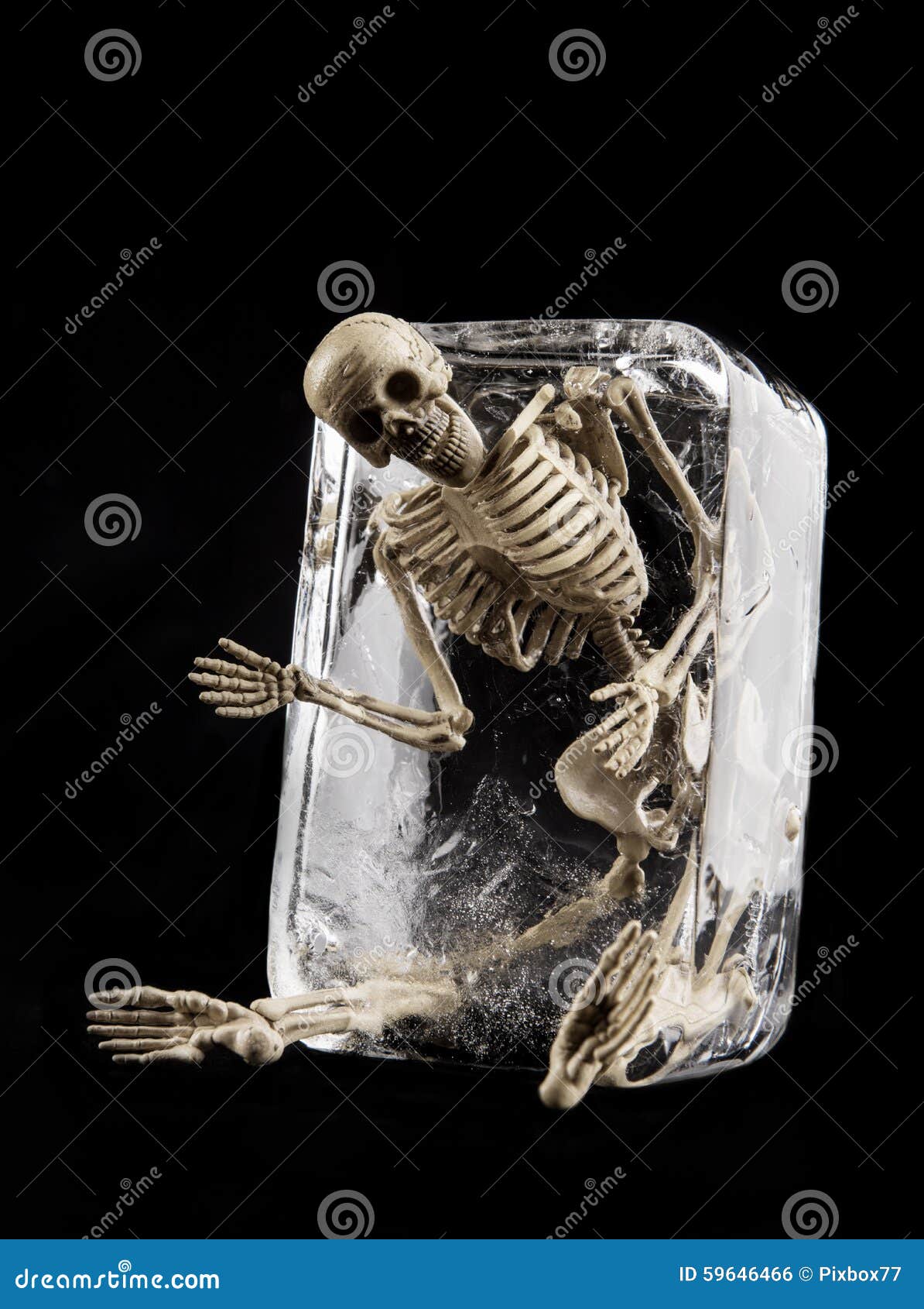 Death in Ice Concept, Skull in Ice Isolated Stock Photo - Image of ...