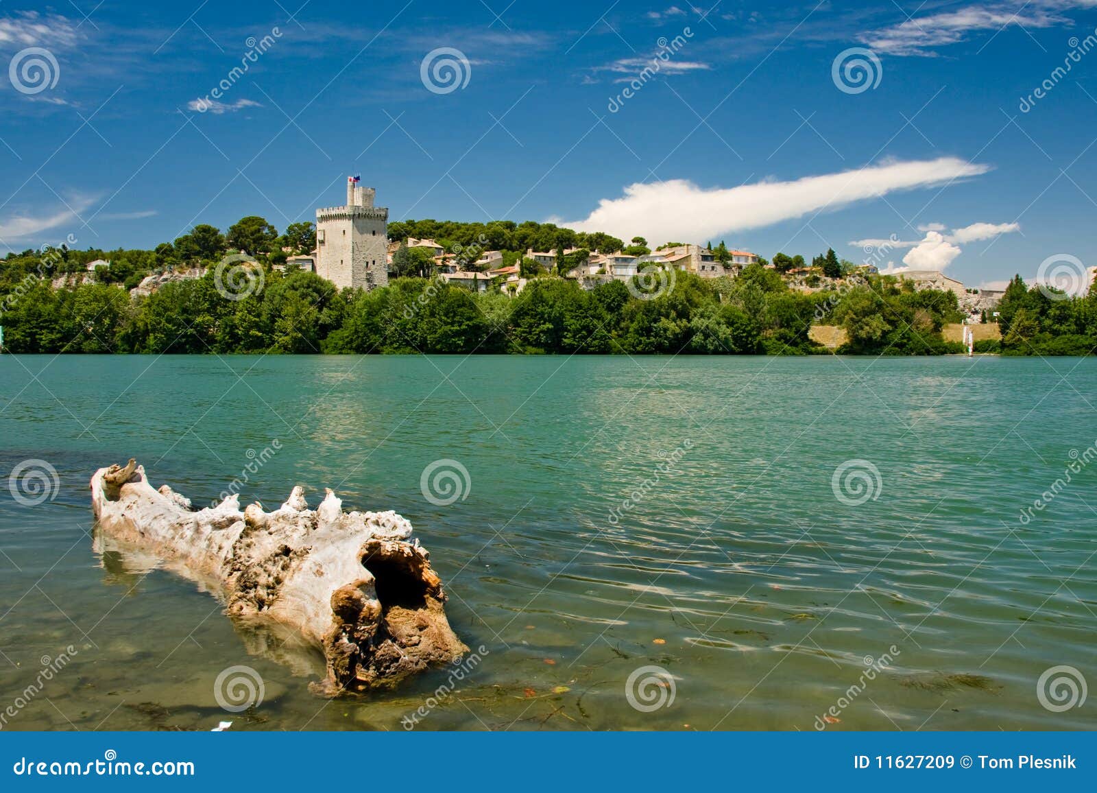 Death Log in Water of Rhone Stock Image - Image of forrest, scene: 11627209
