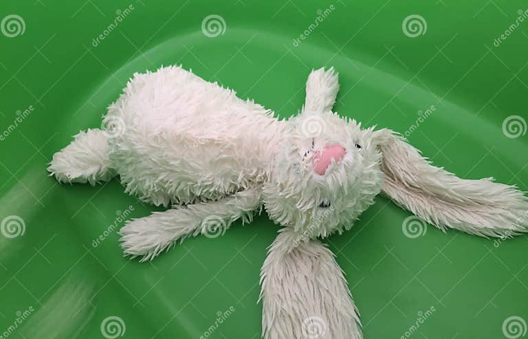 Death rabbit stock photo. Image of dying, bunny, rabbit - 74336592