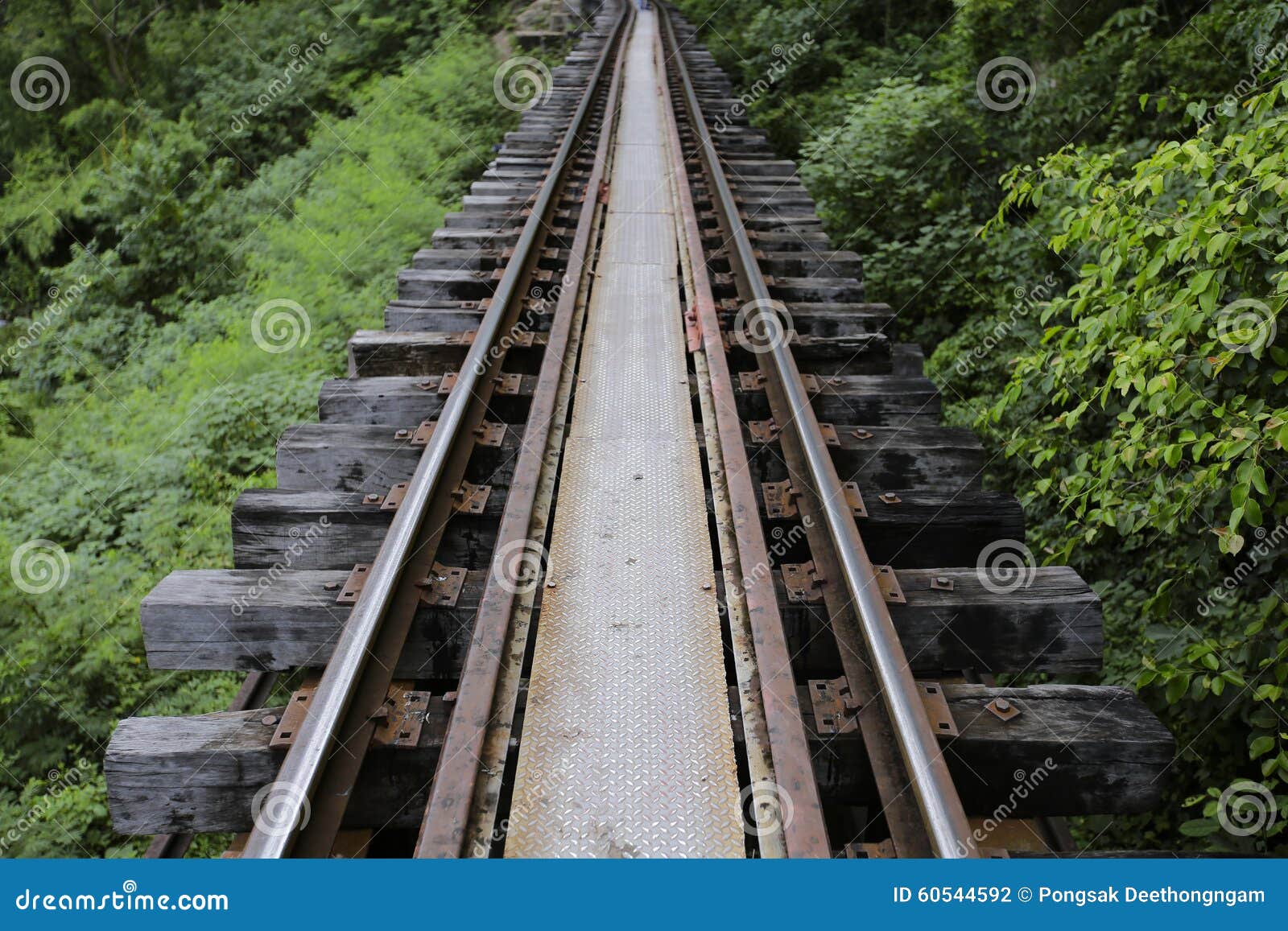 Death railway stock photo. Image of railway, high, nature - 60544592