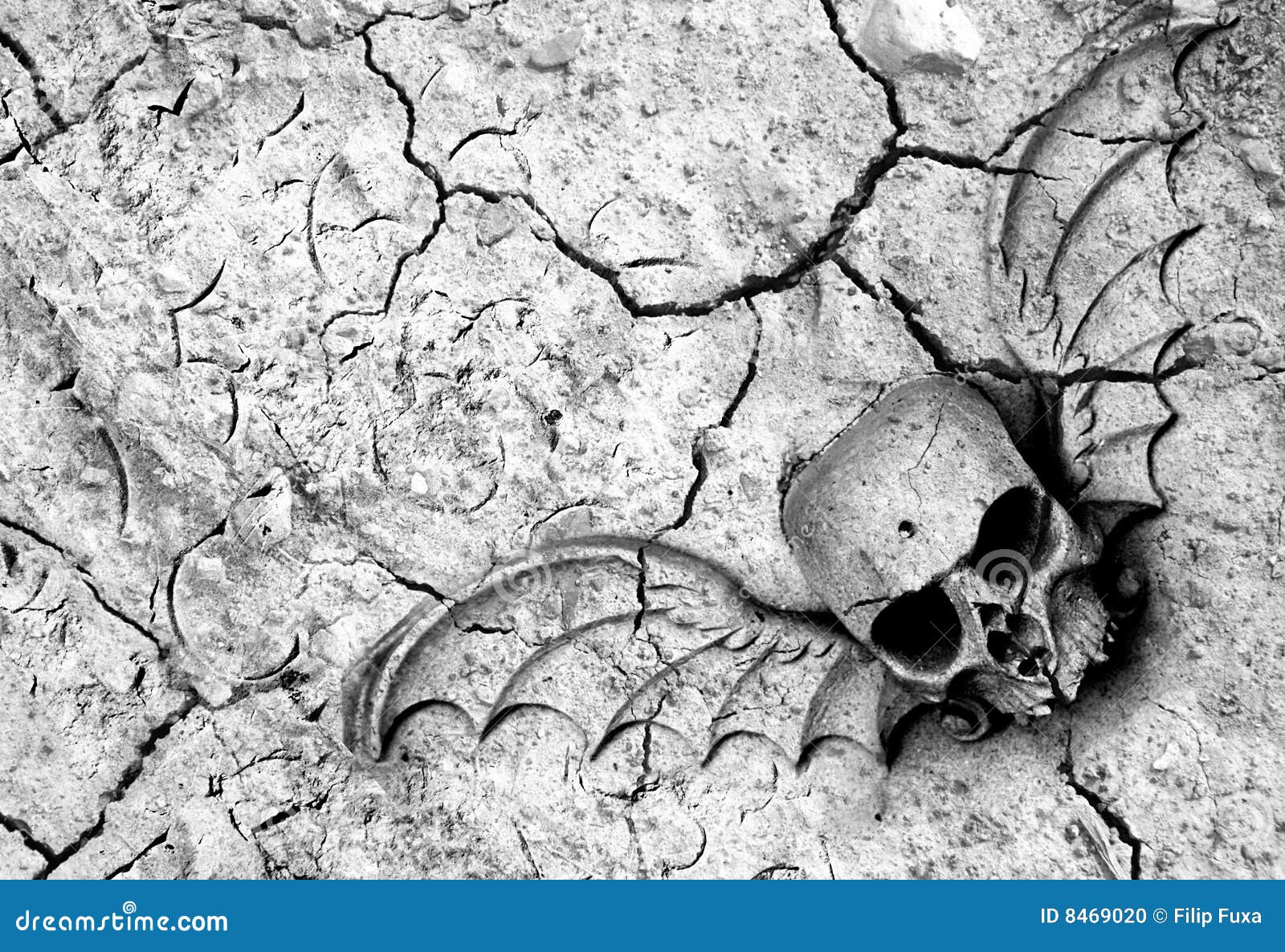 Death in soil stock photo. Image of black, broken, death - 8469020