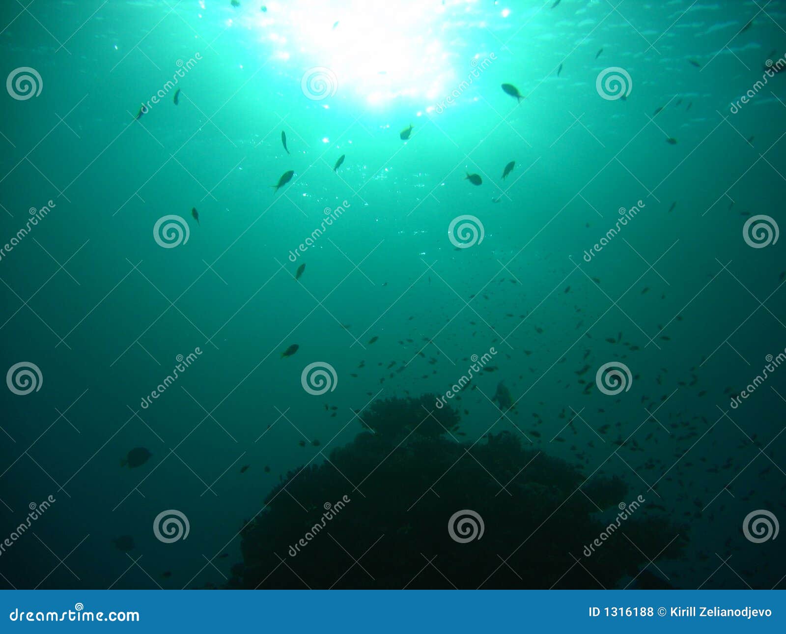 Death Sunset Royalty-Free Stock Image | CartoonDealer.com #1316188