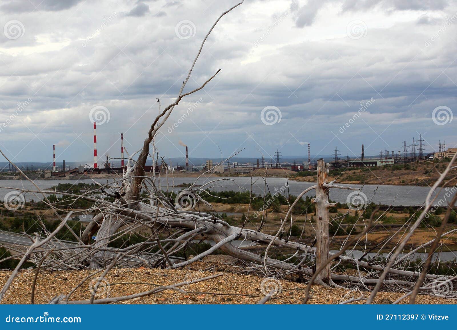Death tree stock image. Image of stack, monchegorsk, environment - 27112397