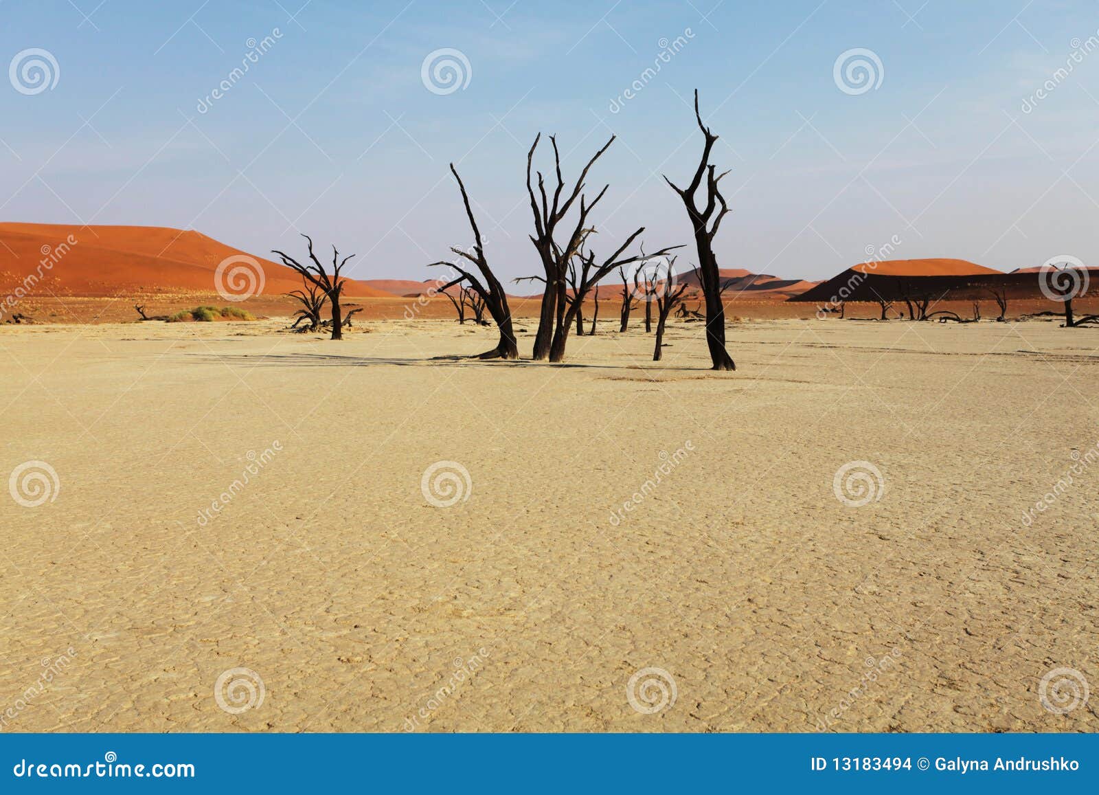 Death valley stock photo. Image of landscape, crust, arid - 13183494