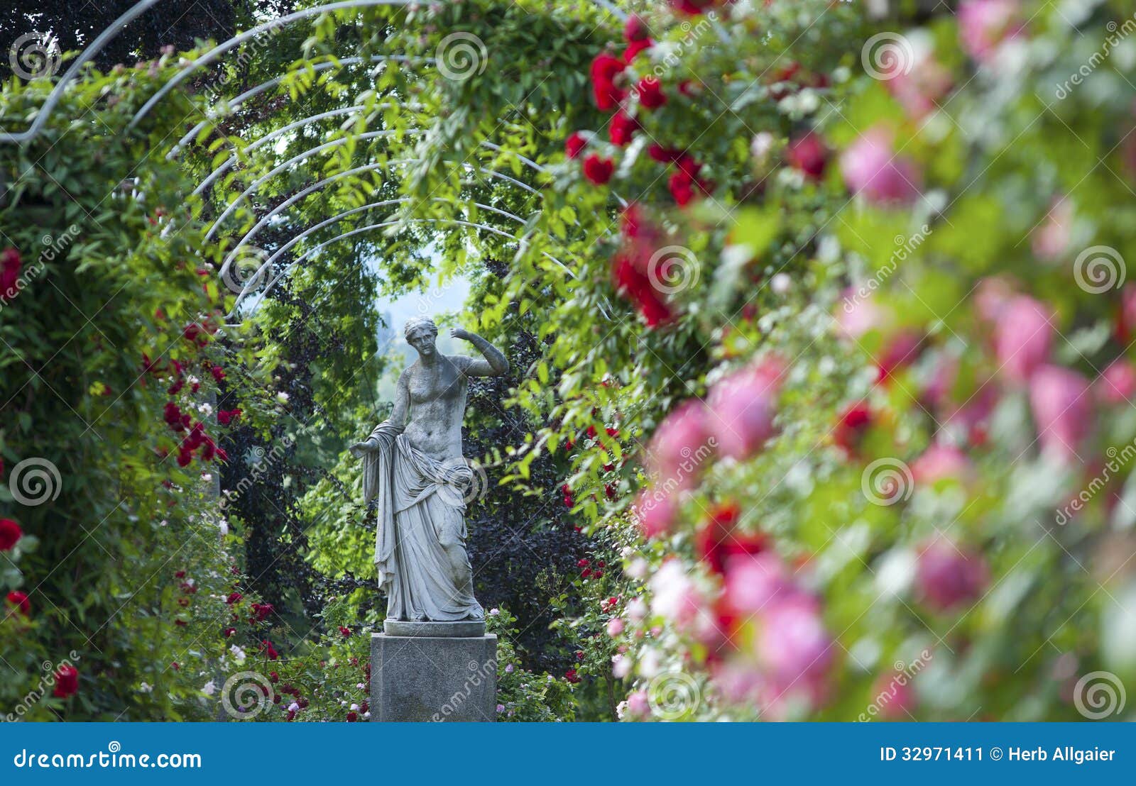 Debajo De Arcos Color De Rosa Imagen de archivo - Imagen de yeso, rosa ...
