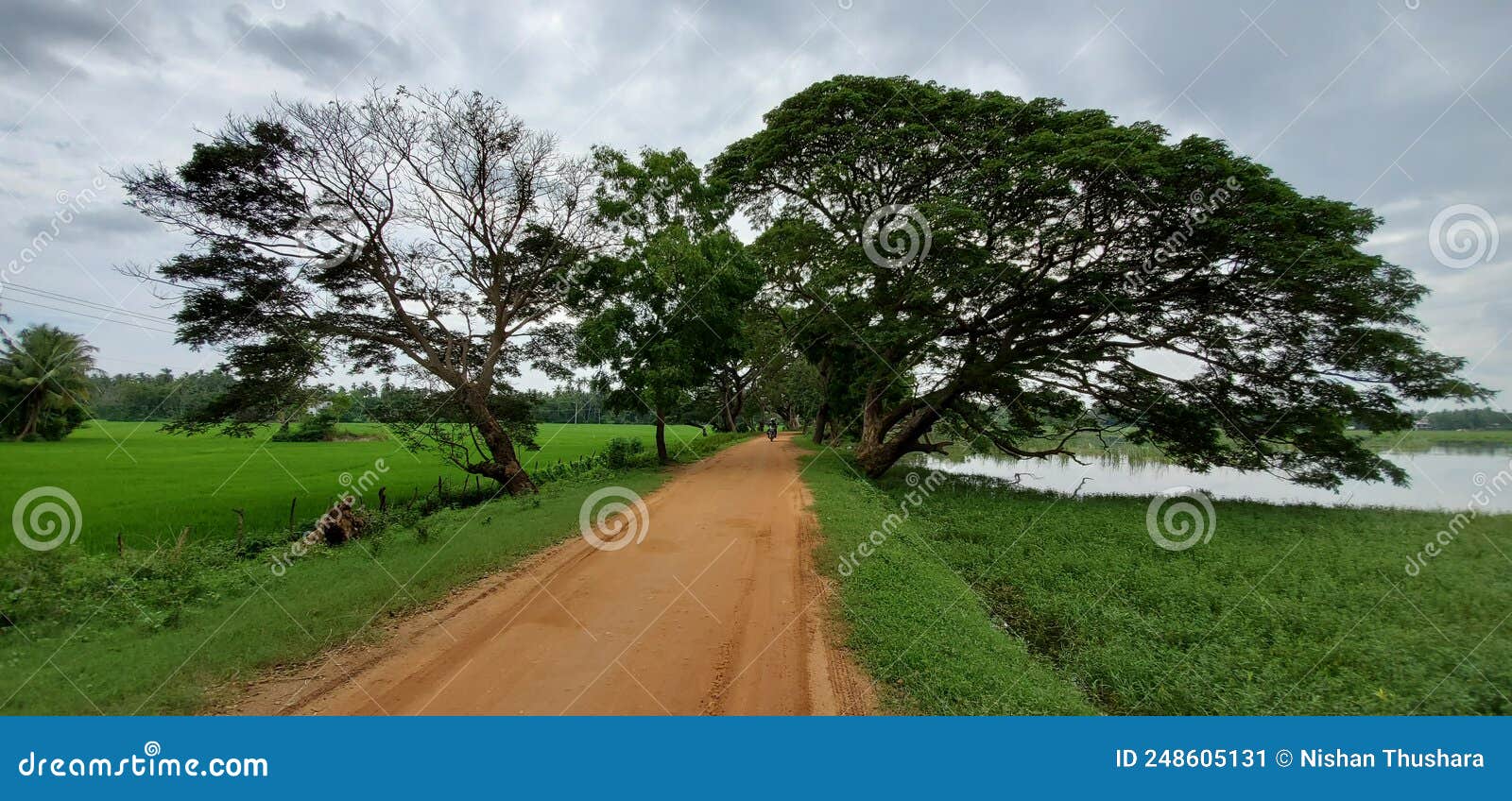 Debara wewa srilanka stock image. Image of debara, village - 248605131