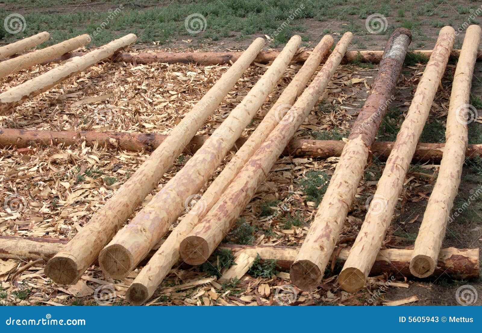 Debarked Poles Photos - Free & Royalty-Free Stock Photos from Dreamstime