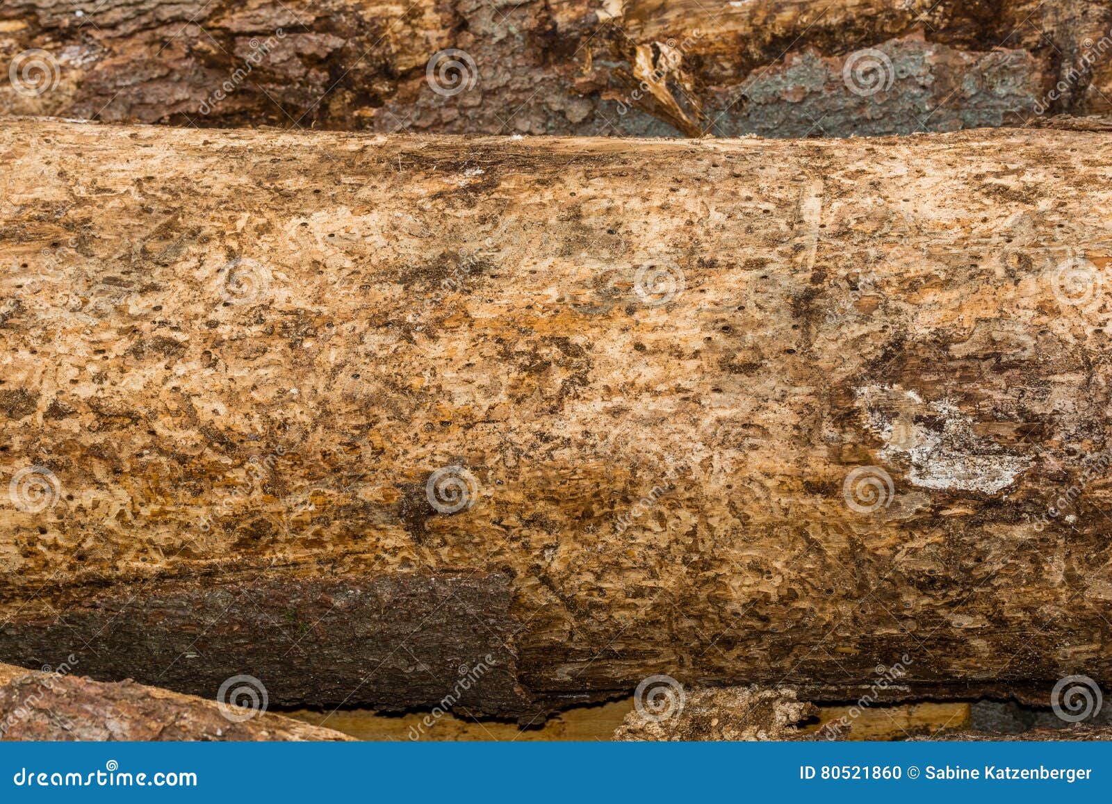 Debarked wood stock photo. Image of pile, lumber, yard - 80521860