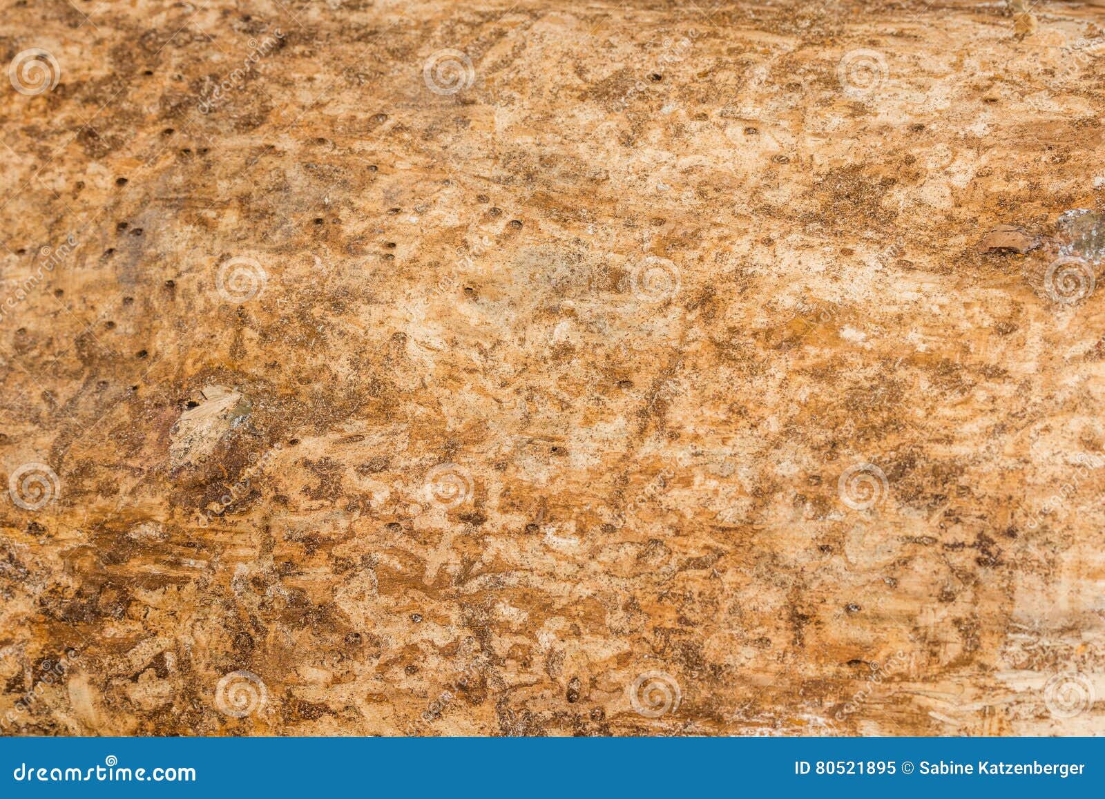 Debarked wood stock image. Image of piled, industry, storage - 80521895