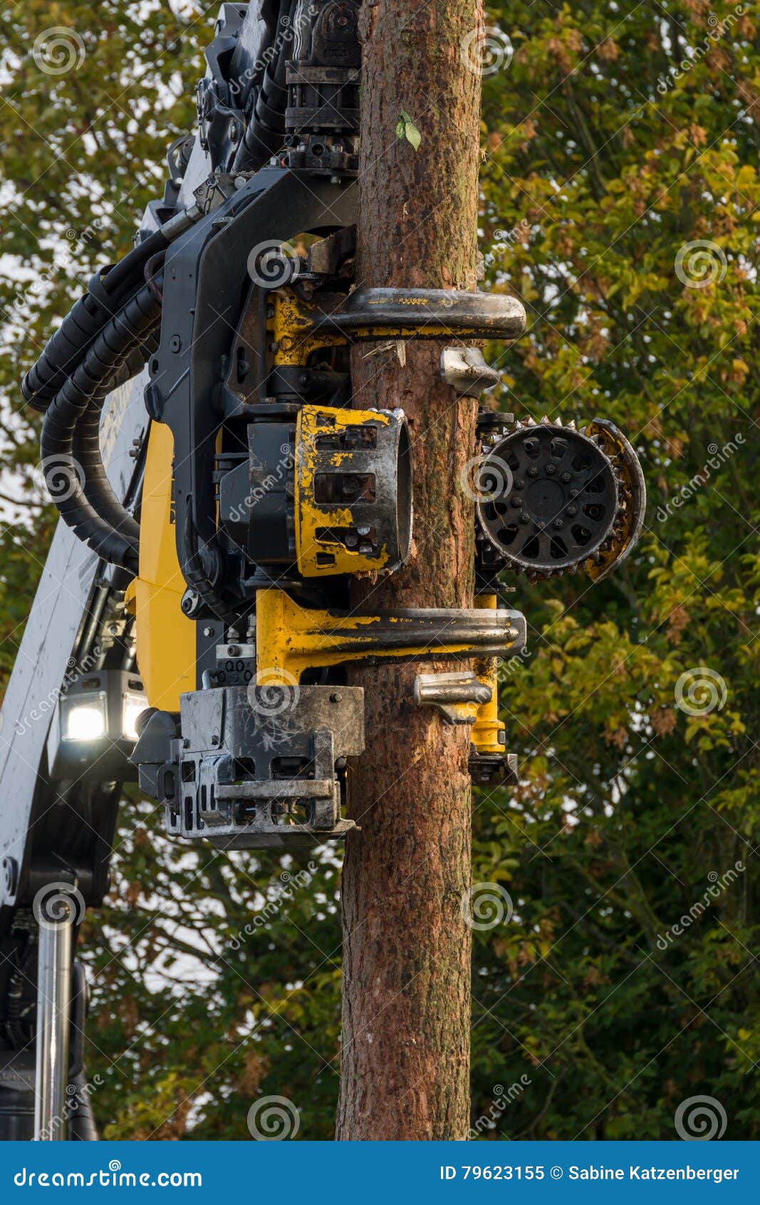 Debarking tool stock image. Image of power, efficiency - 79623155