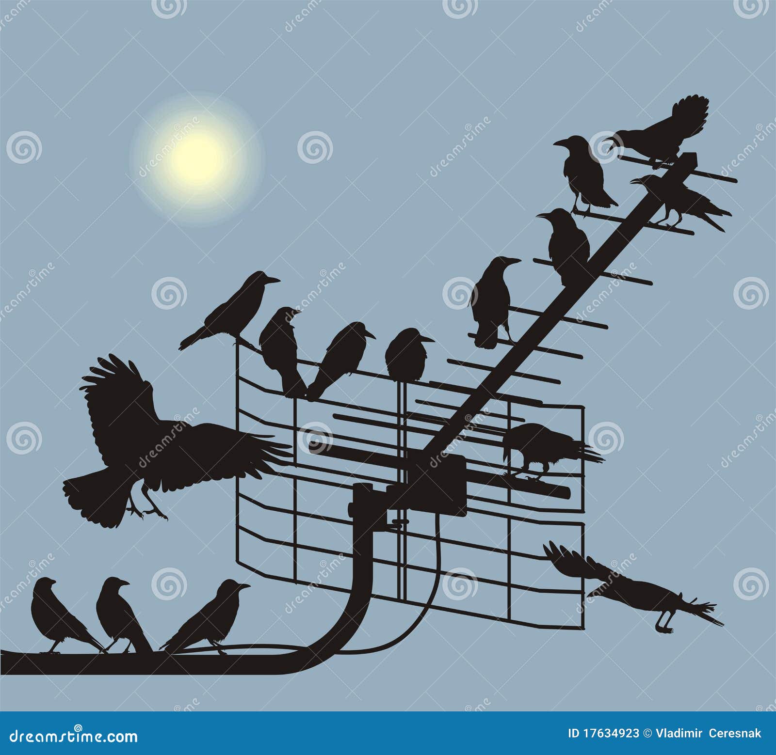 Two Crows Cartoon Vector | CartoonDealer.com #16760491