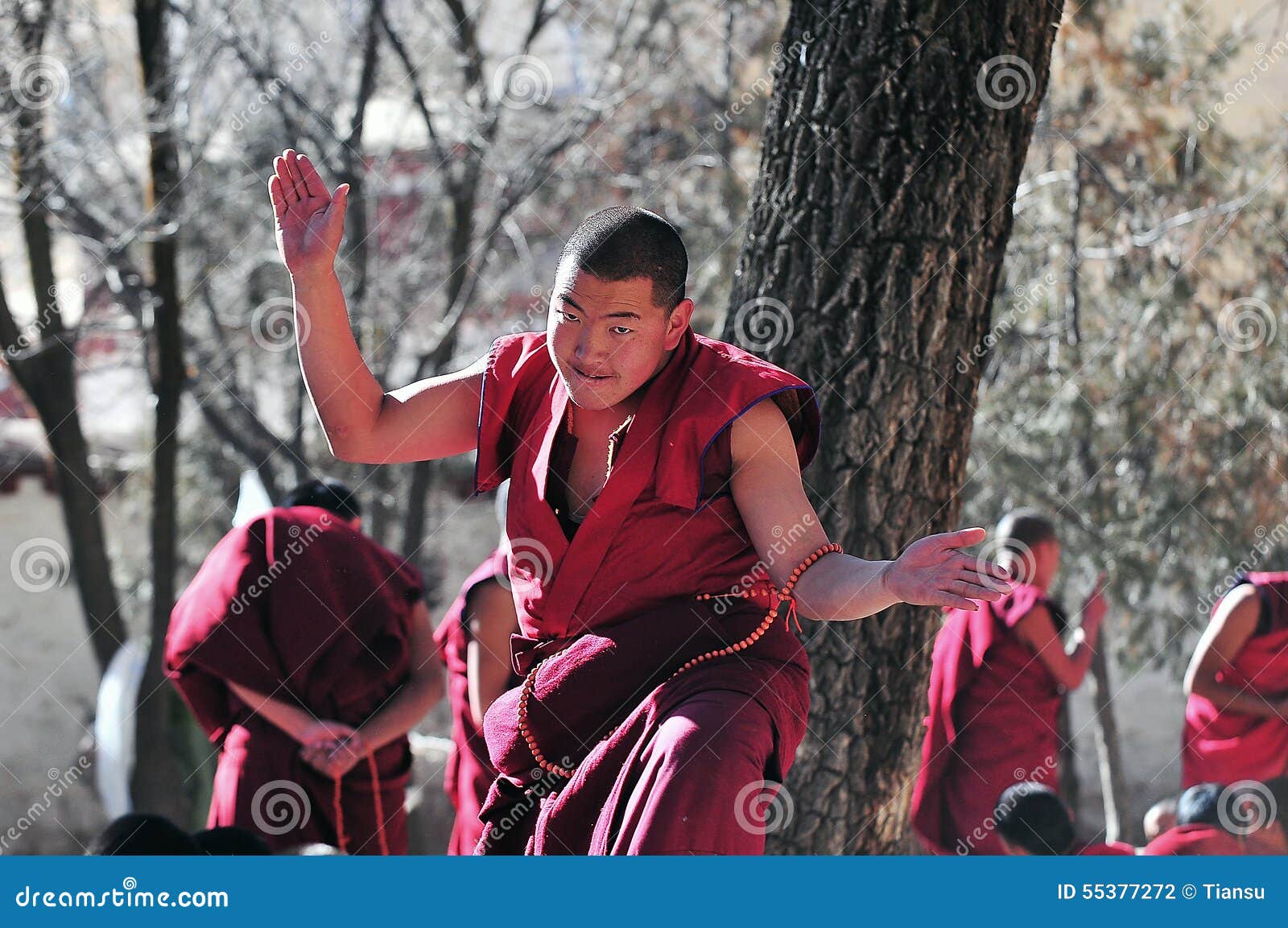 Debating monks in Tibet editorial photography. Image of monastery ...